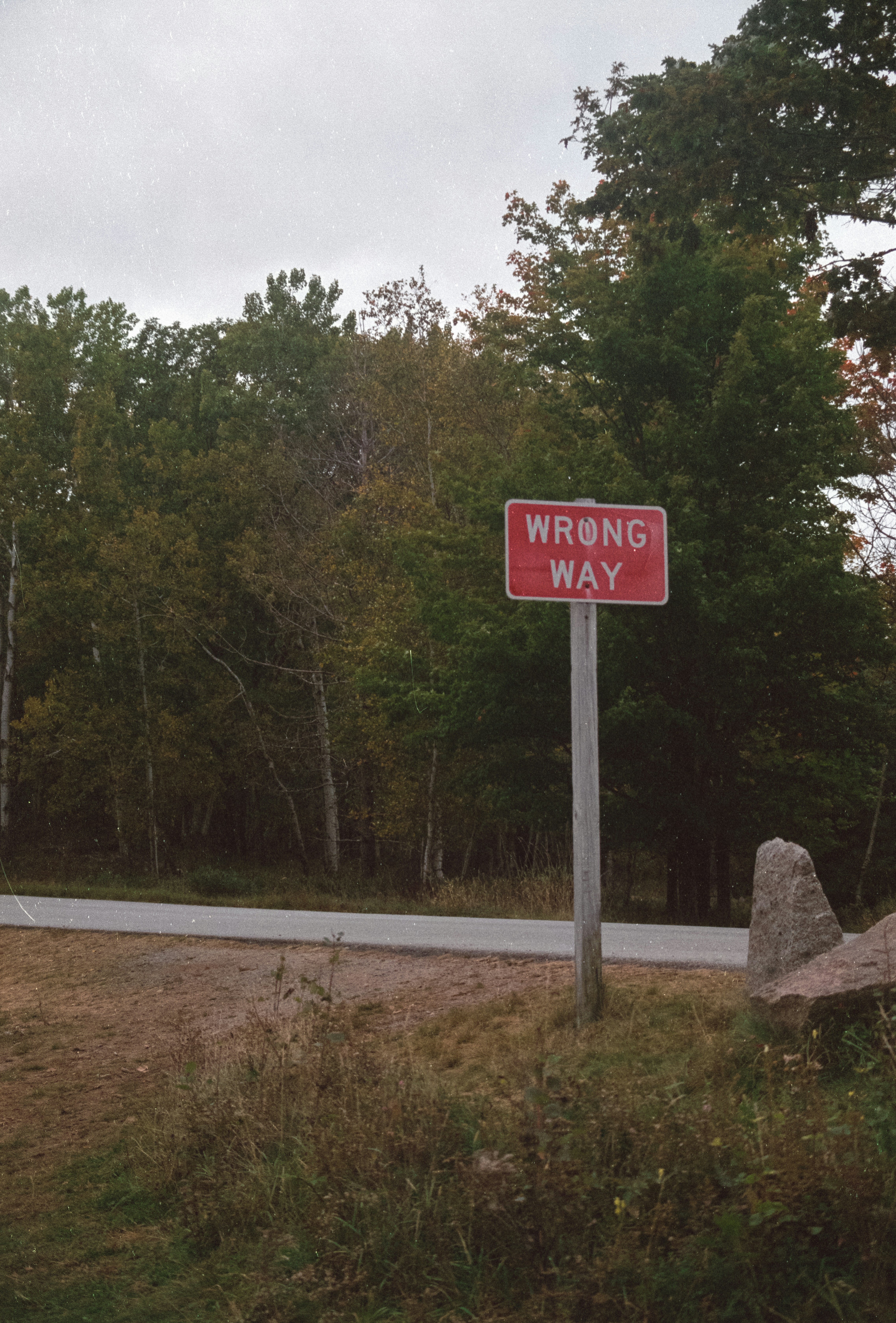 Red 'WRONG WAY' sign positioned beside a road, surrounded by lush trees and under a cloudy sky.