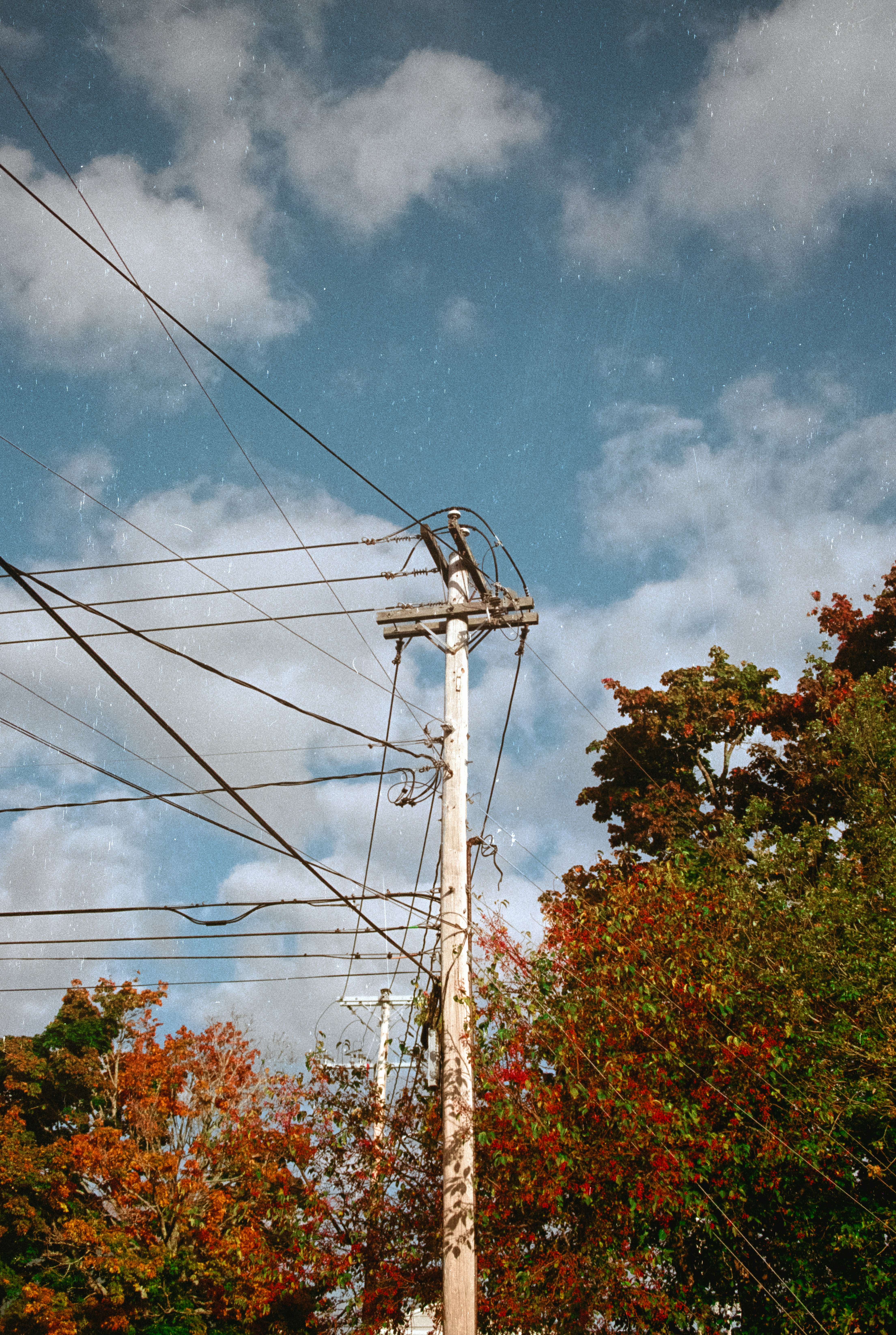 A weathered utility pole with a web of power lines rises against a bright autumn sky. The photograph foregrounds the tangled cables and the colorful foliage.