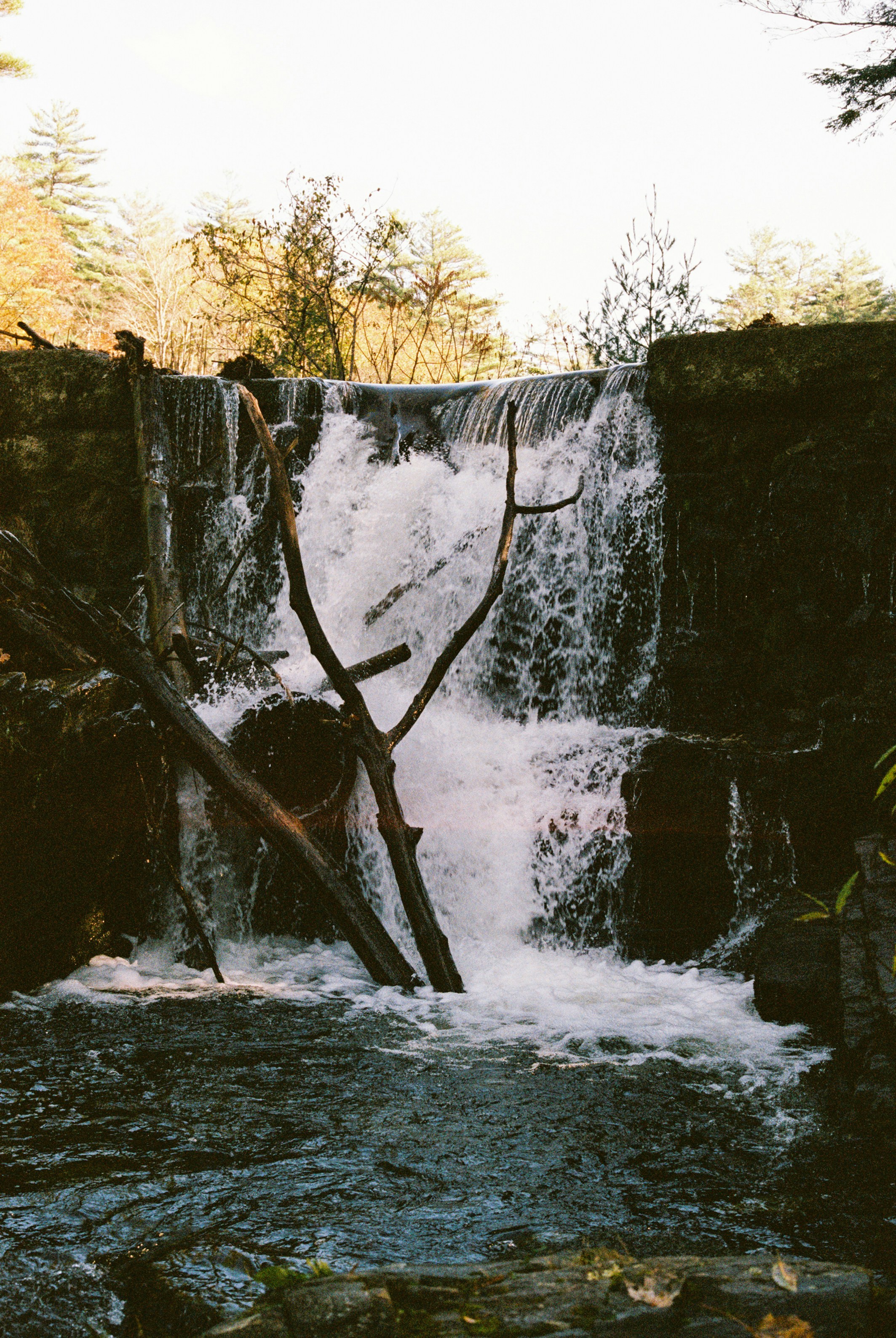 A waterfall with a tree branch sticking out of it photo – Free ...