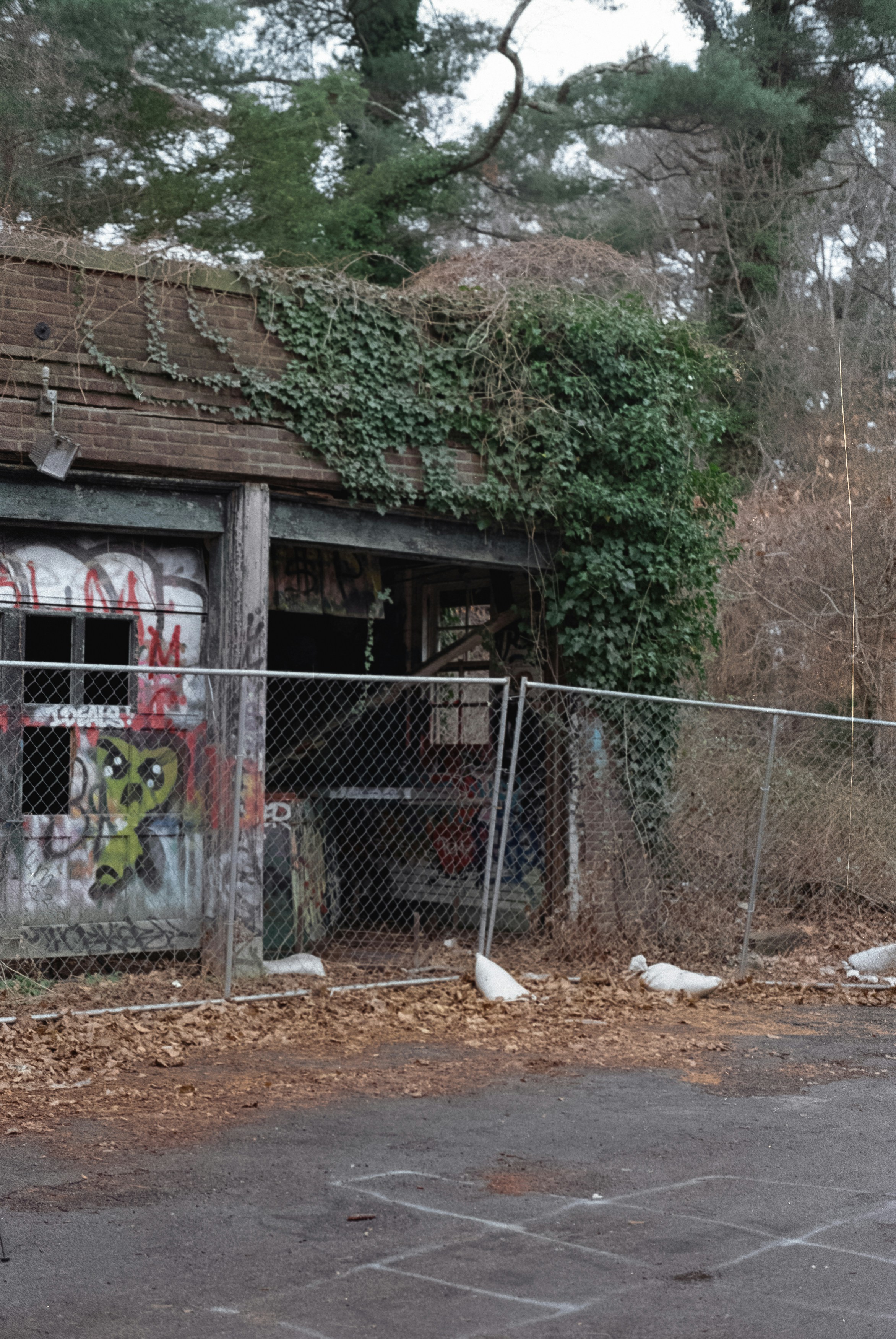 An overgrown, abandoned building adorned with vibrant graffiti, surrounded by a chain-link fence and fallen leaves. The scene captures the intersection of decay and nature's resilience.