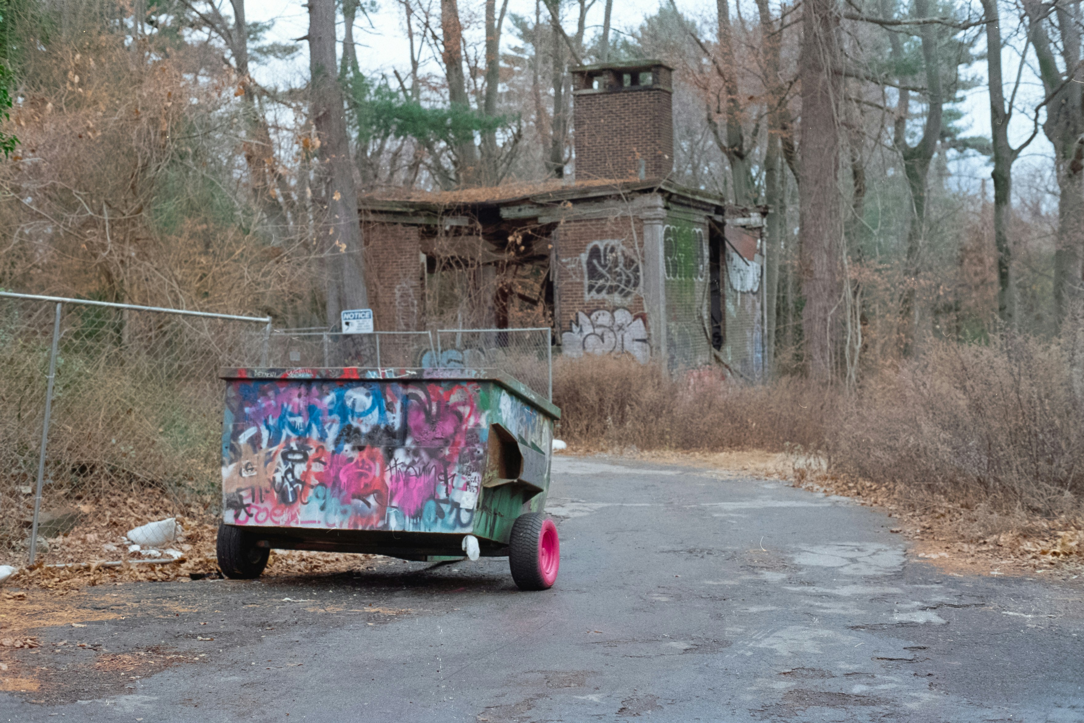 Vibrantly painted dumpster on a deserted road, surrounded by overgrown foliage and a dilapidated building in the background.