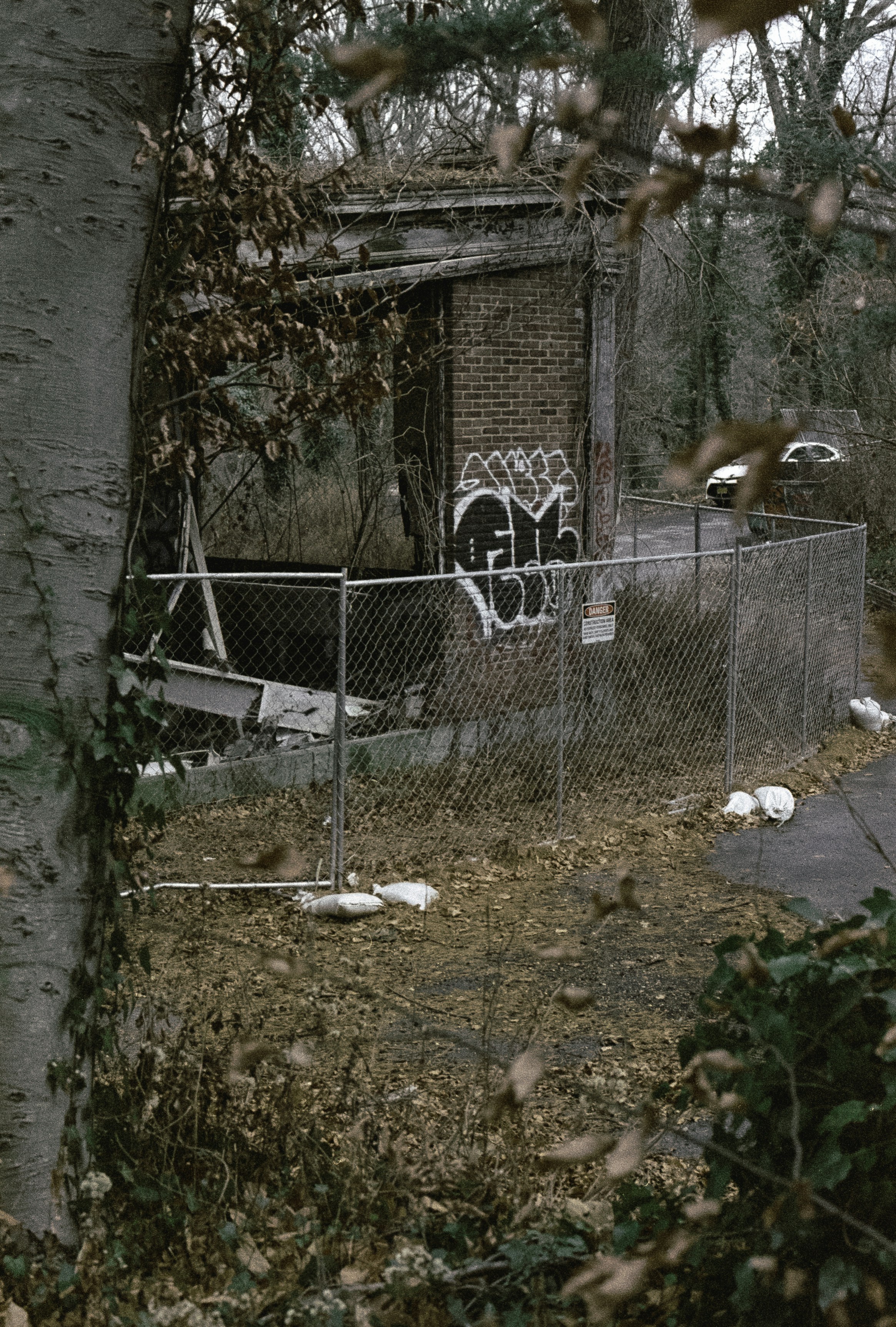 Graffiti-Guarded Shed Beyond the Chain-Link