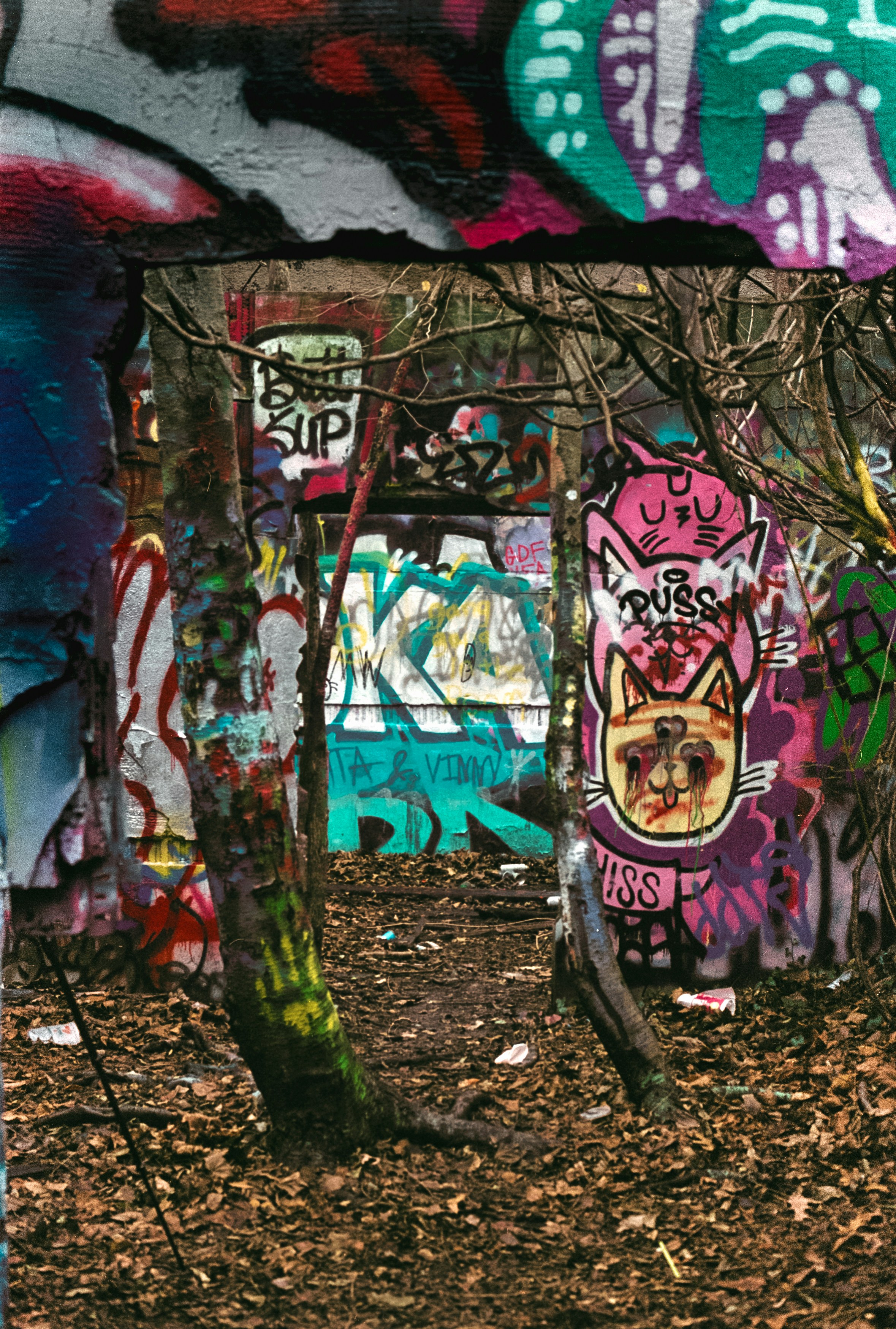 A bunch of graffiti on the side of a building photo – Free Art Image on ...