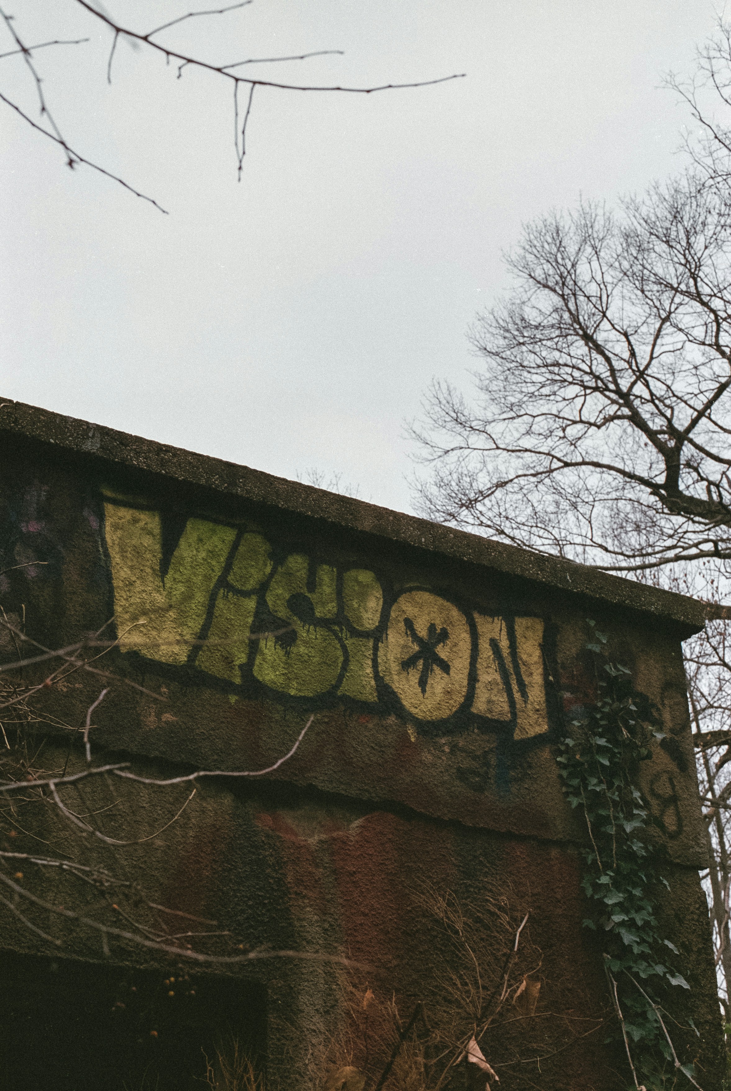 Graffiti lettering spans a moss-covered brick wall, ivy clinging to the corner, with bare trees and a pale sky framing the scene.