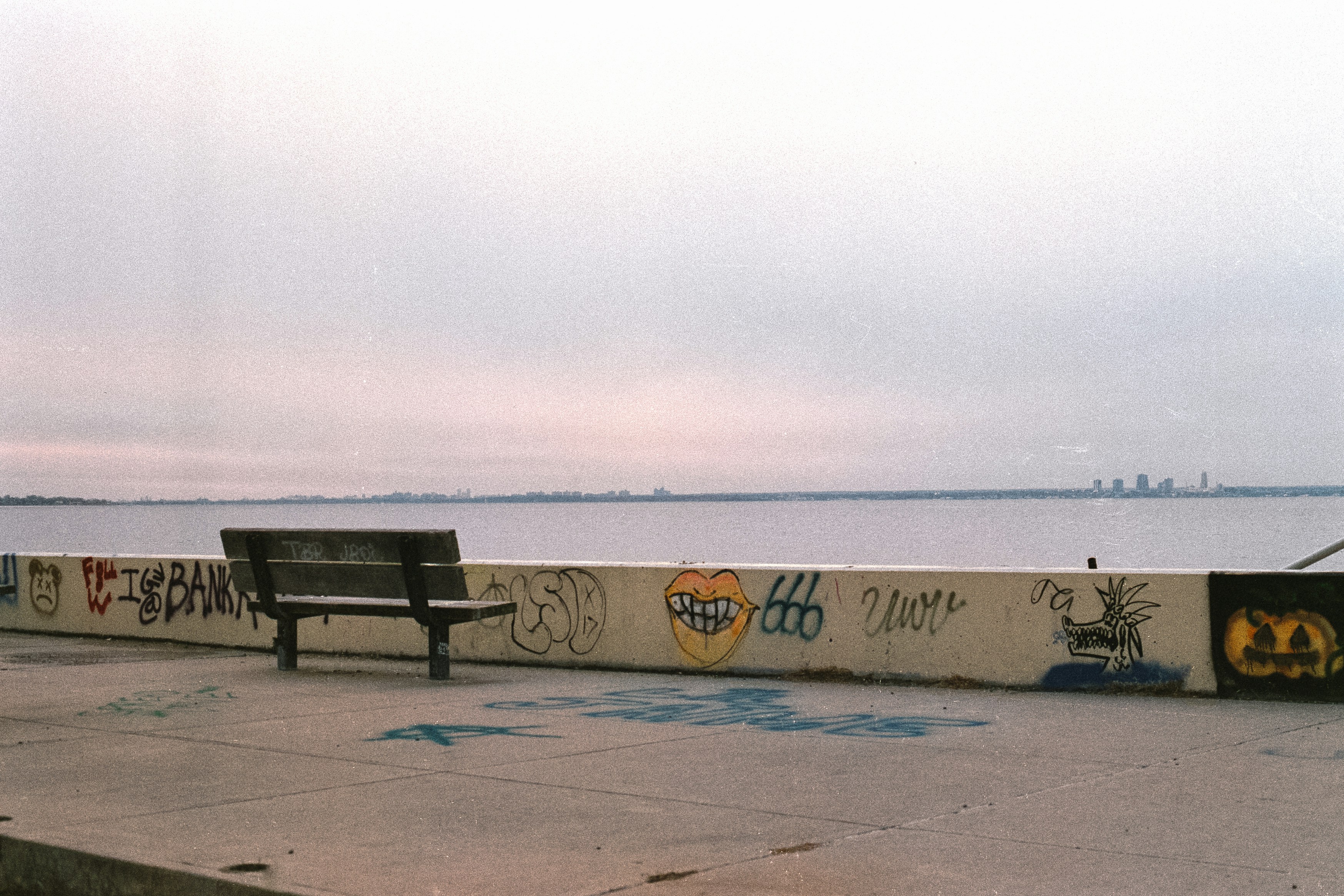 A lone bench sits along a graffiti-adorned seawall facing a calm body of water under a pale, pink-tinged sky.