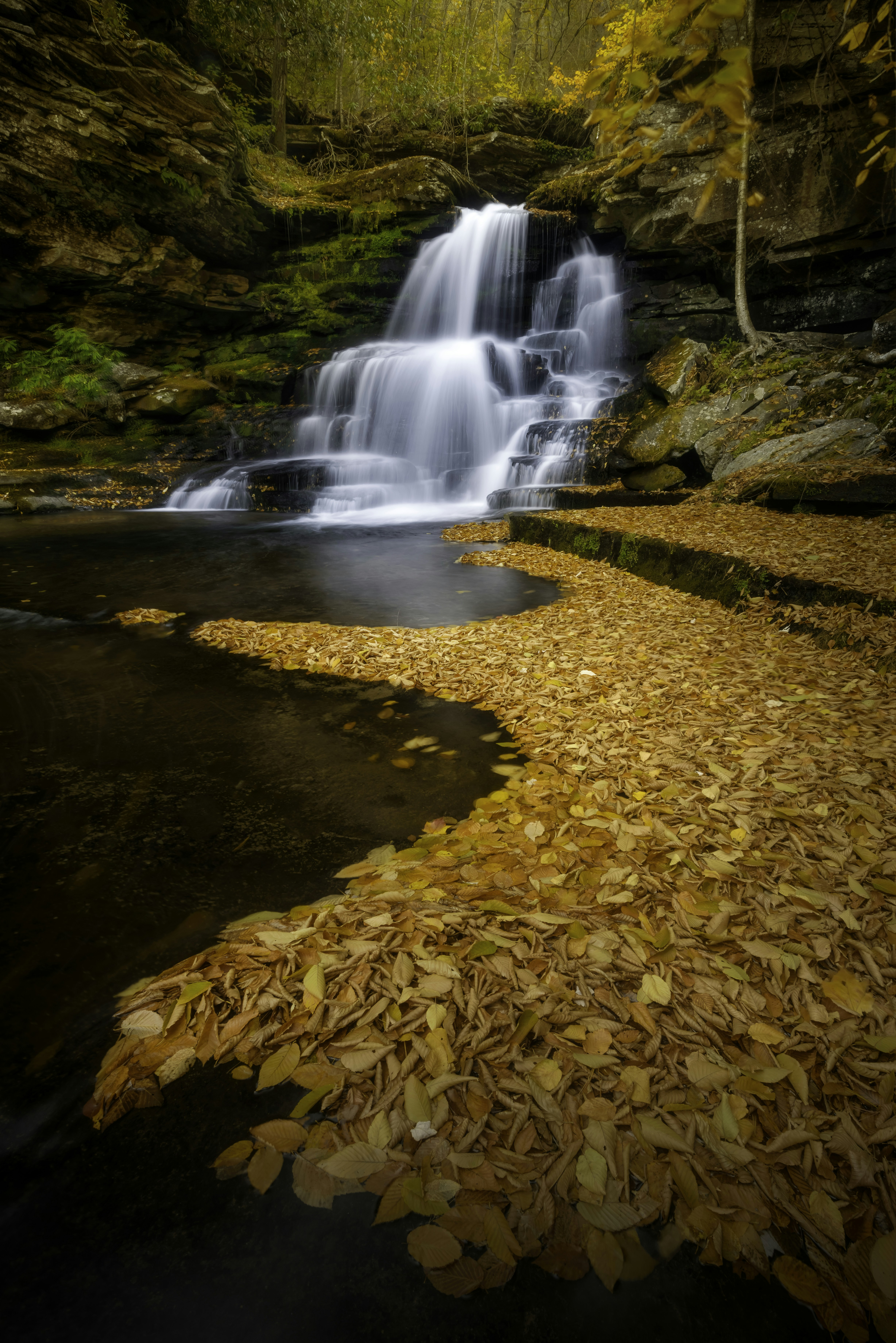 Yeagerville Falls