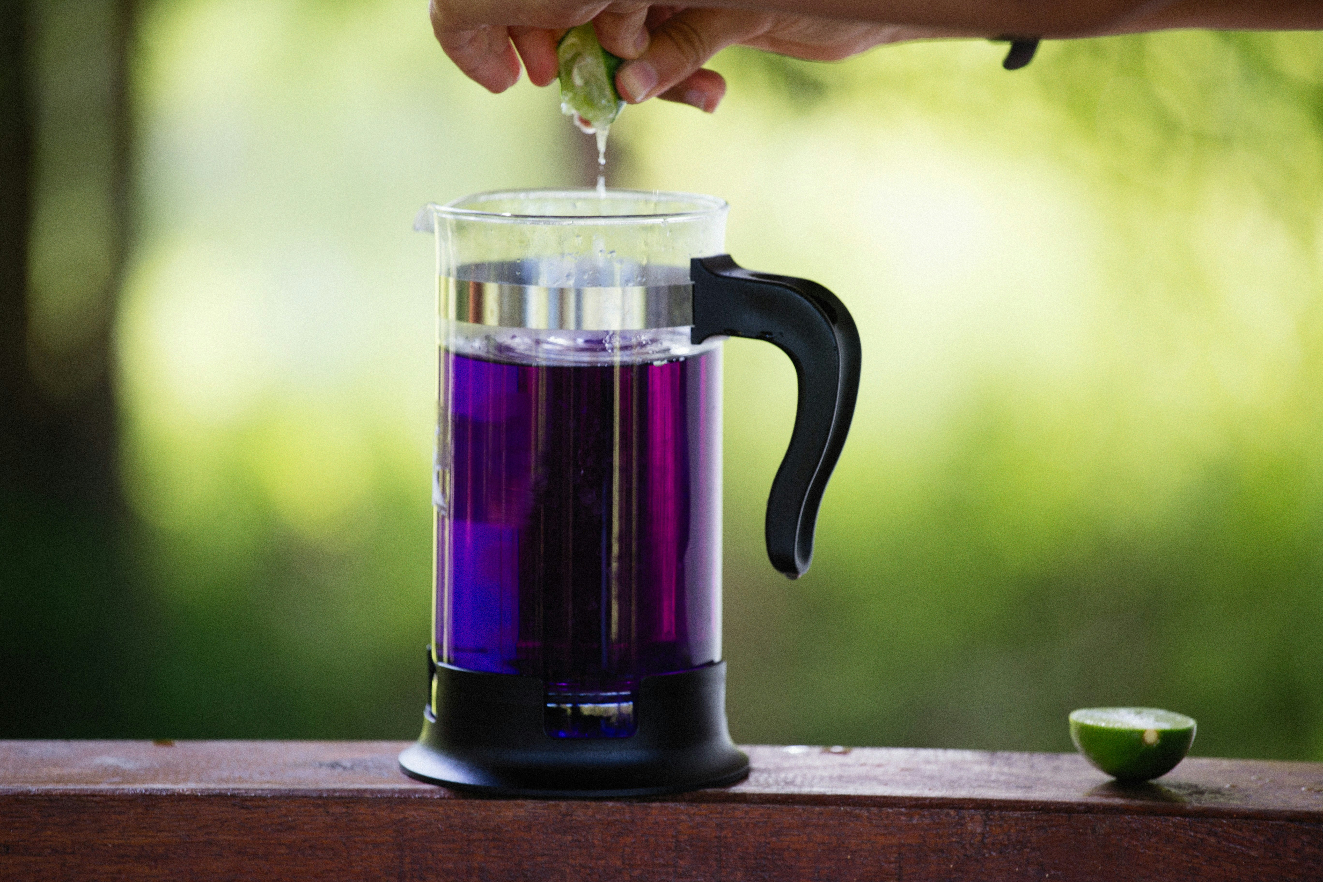 A person pours a liquid into a glass pitcher photo – Free Human Image ...