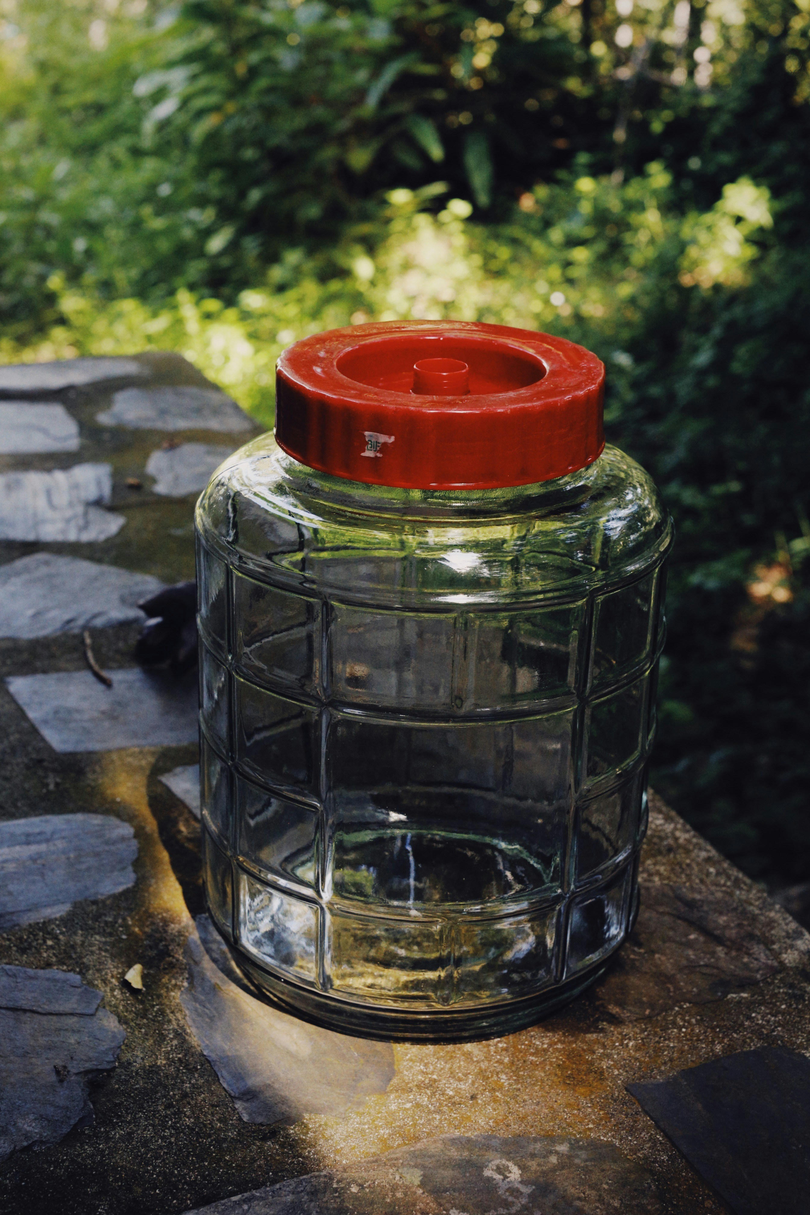 A clear glass jar with a red lid sits on a stone surface, surrounded by lush greenery. The play of light highlights the jar's texture against the natural backdrop.