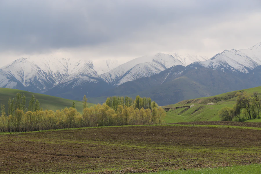Snow-capped mountains rise behind rolling green hills and a band of autumn trees, under a pale cloudy sky. A freshly worked field fills the foreground.