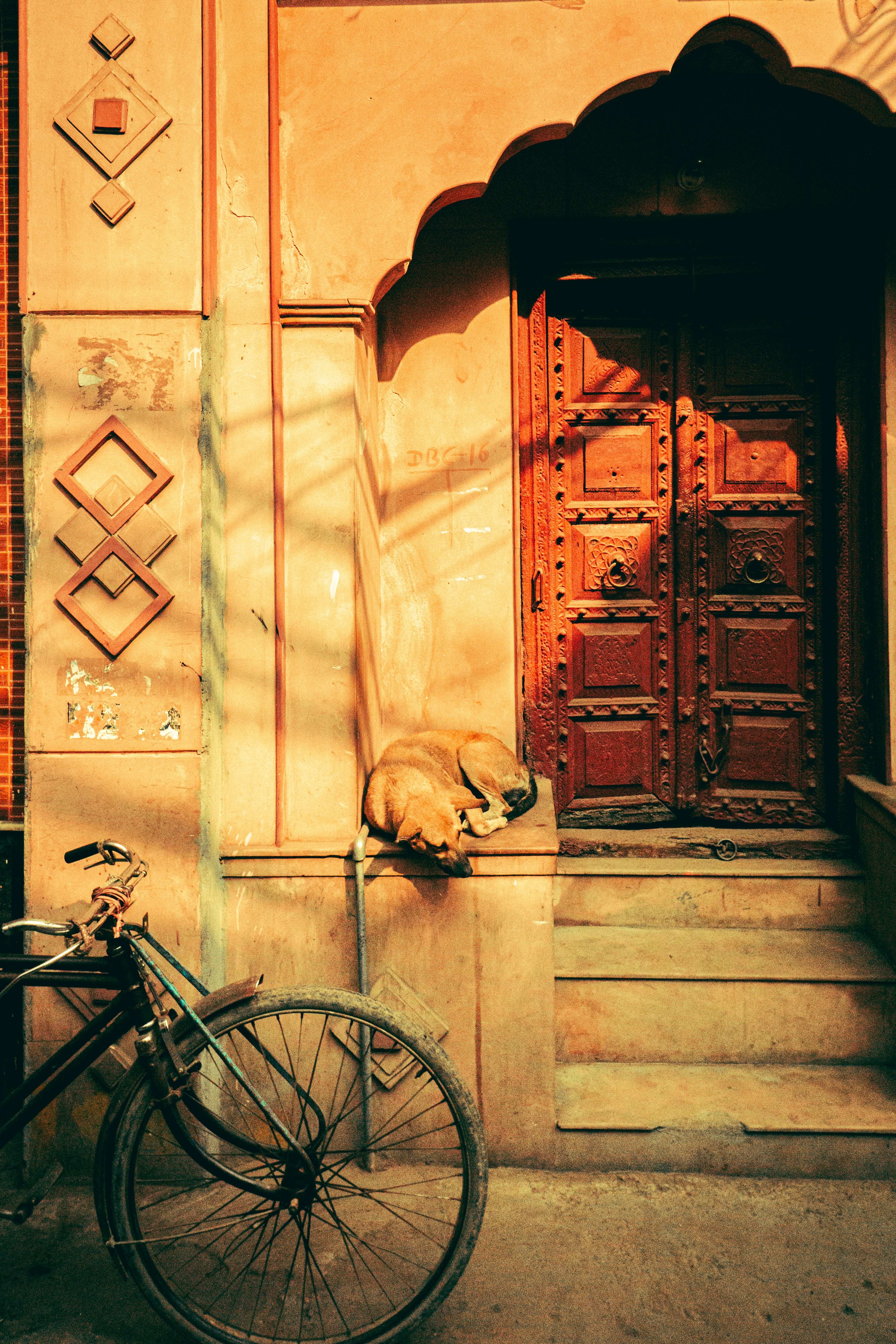 A dog peacefully lounging on the steps of an intricately carved wooden door, with a vintage bicycle leaning nearby. The warm hues of the wall enhance the scene's nostalgic charm.