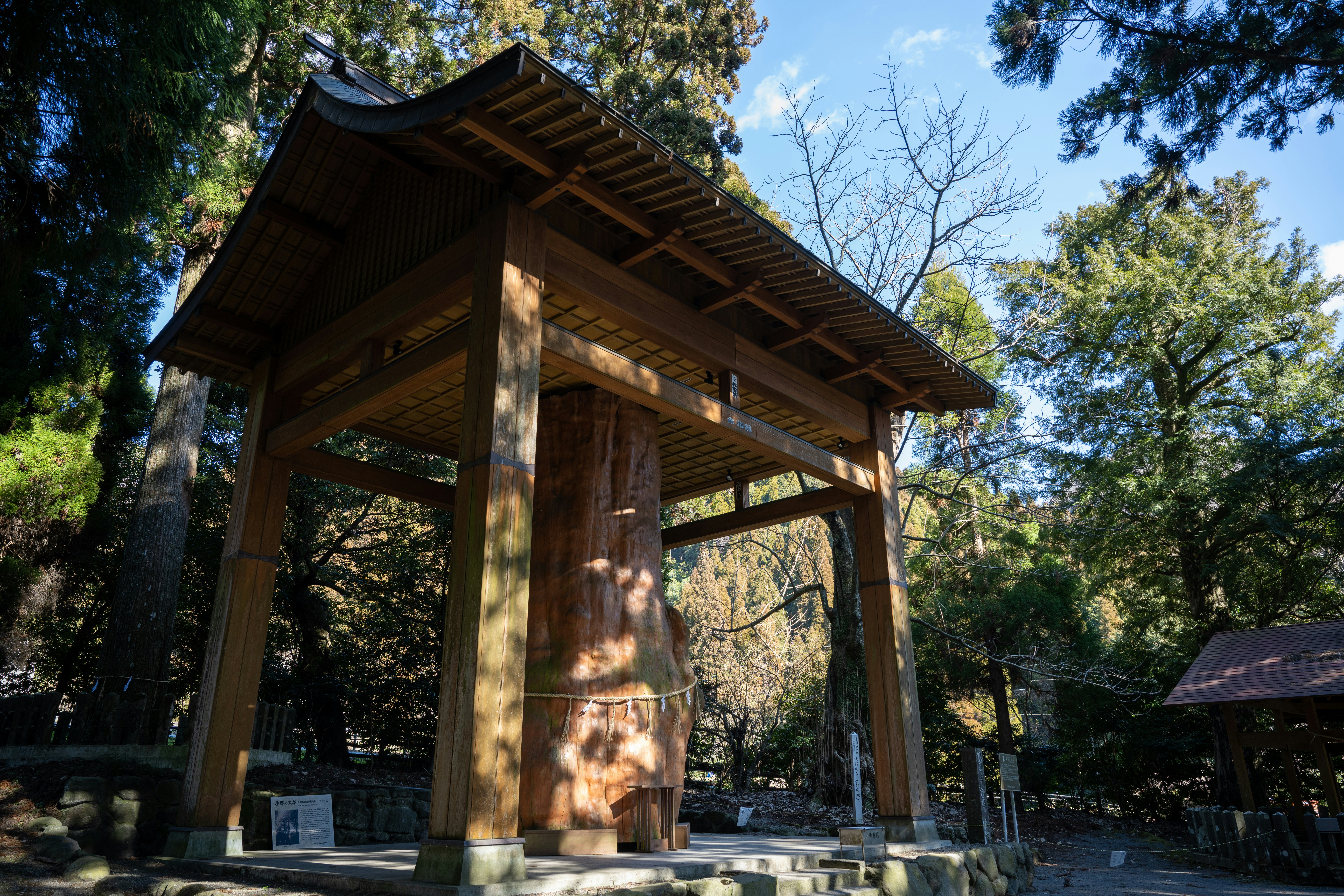 Traditional wooden structure standing amidst a serene forest, showcasing the harmony between architecture and nature.