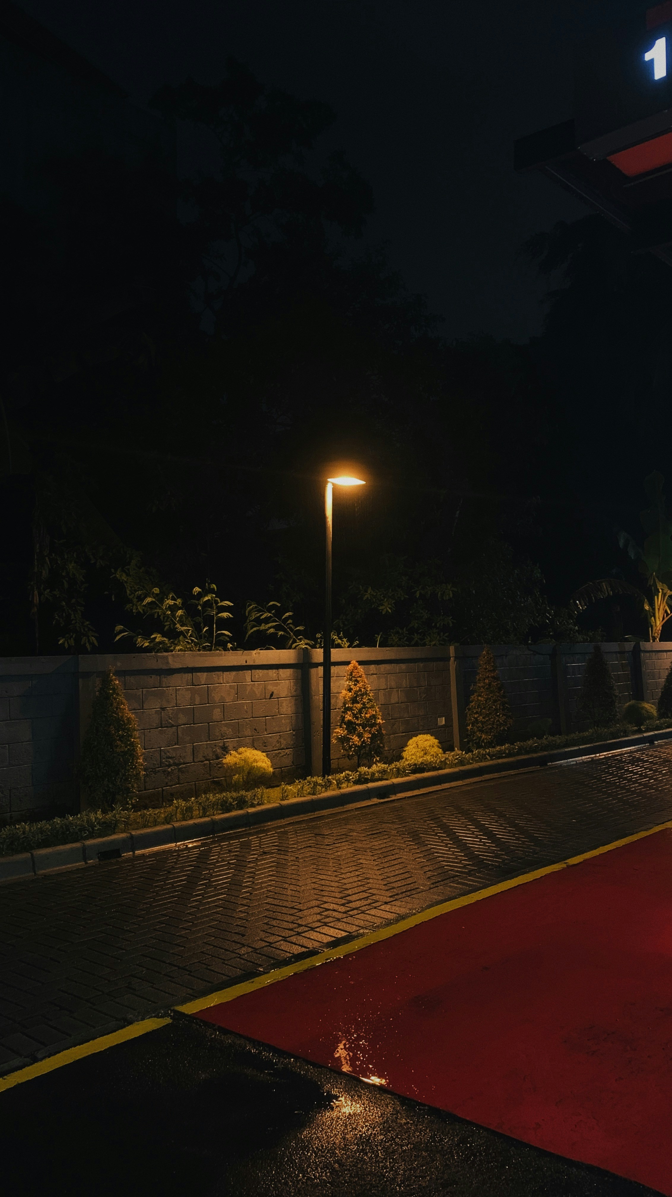 Night-lit Parking Lot: A Quiet Corridor Between Shadow and Streetlight