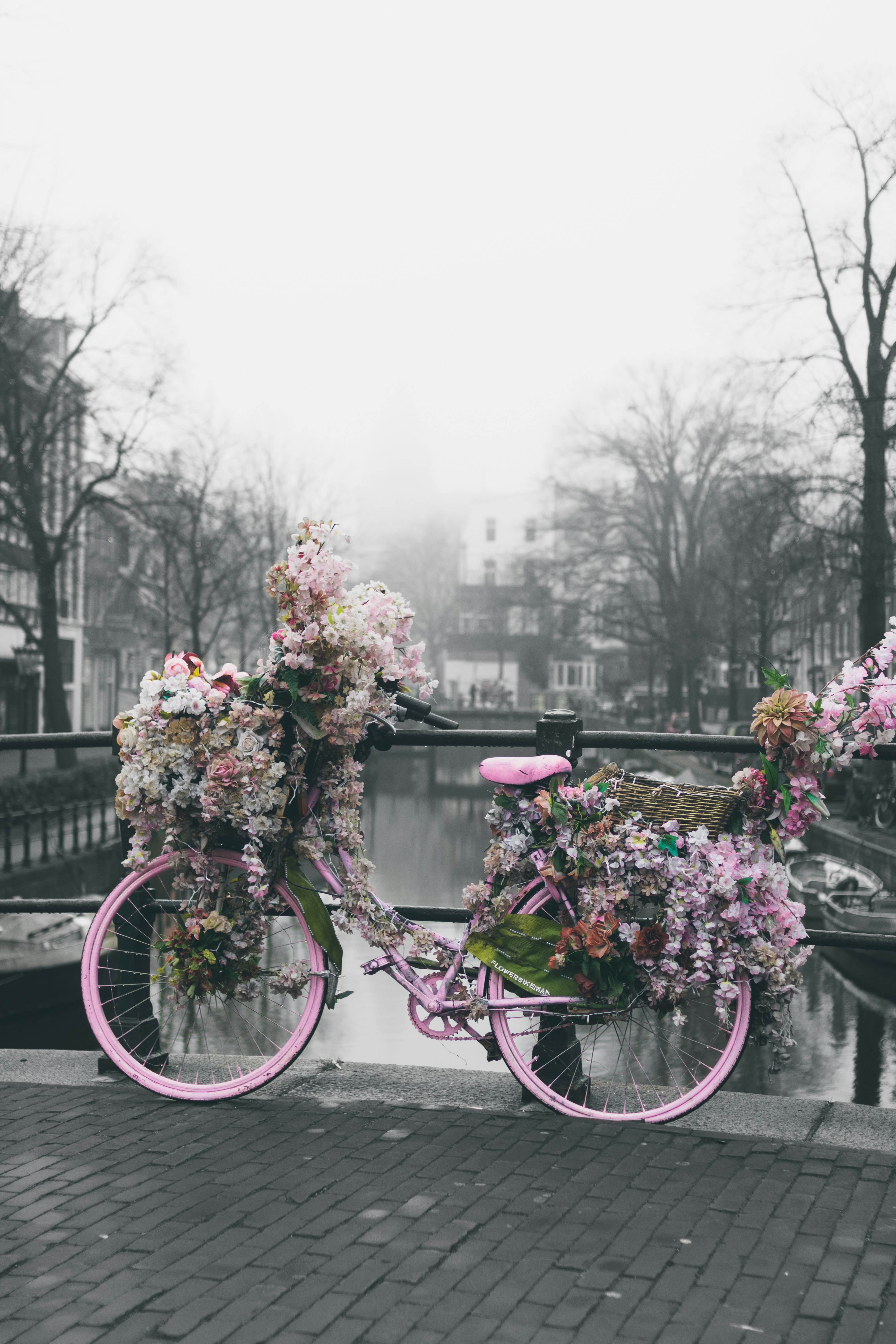 A vintage bicycle adorned with a vibrant array of flowers, set against a misty canal backdrop. The scene evokes a whimsical charm.