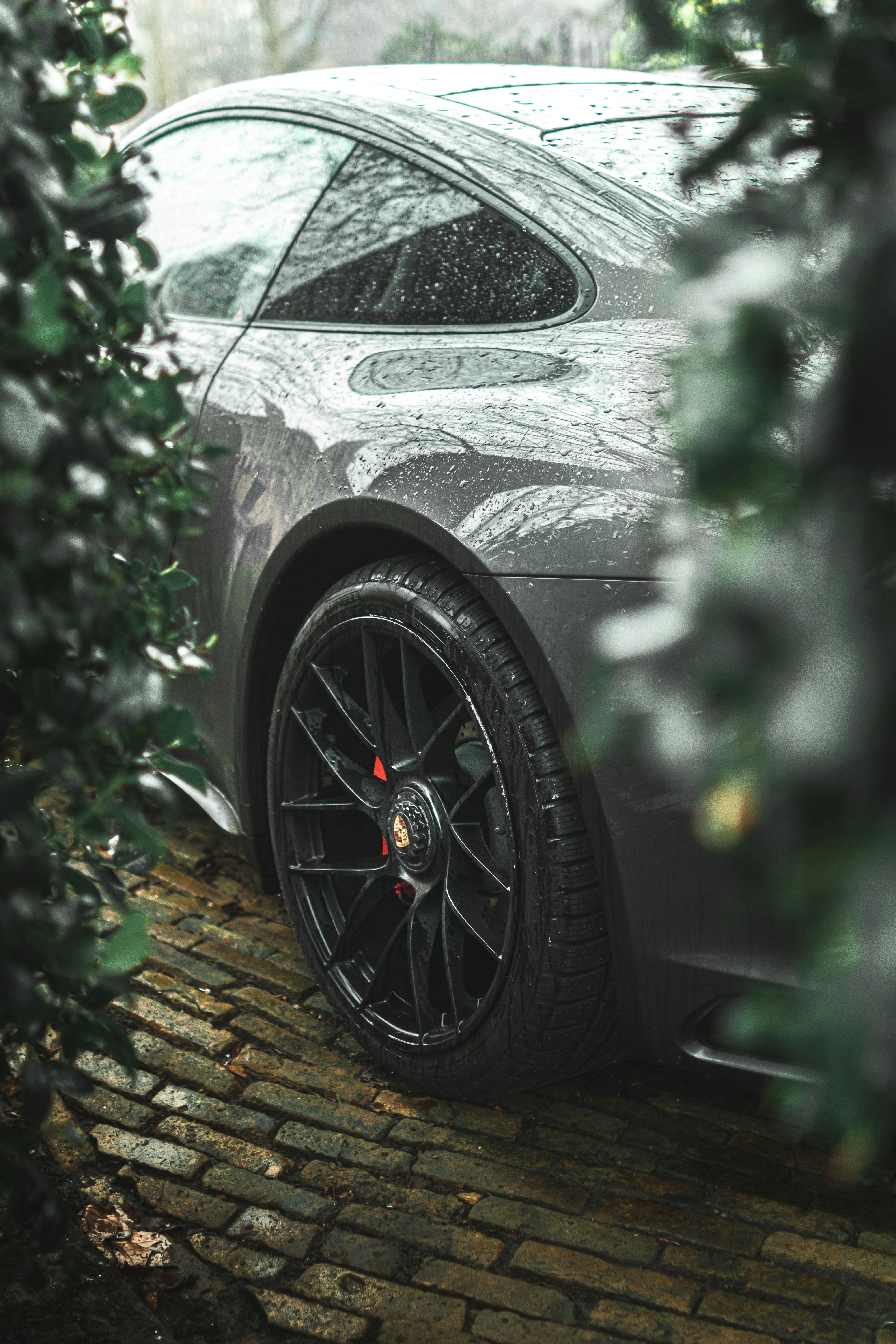 A sleek sports car partially obscured by lush greenery, showcasing its elegant curves and distinctive wheel design amidst a rainy backdrop.