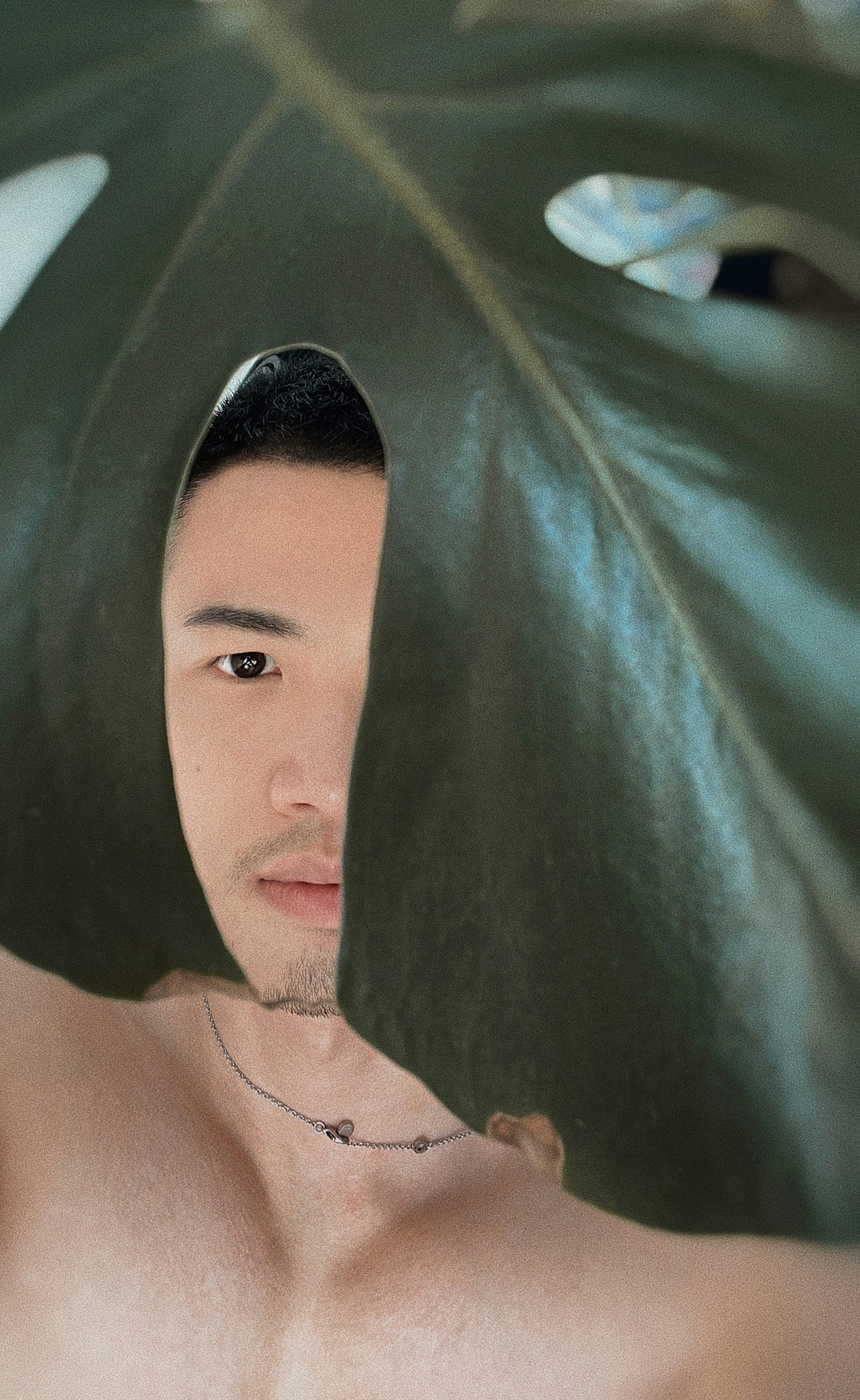 Through the Leaf's Vein: A Quiet Portrait Peering from Nature's Frame
