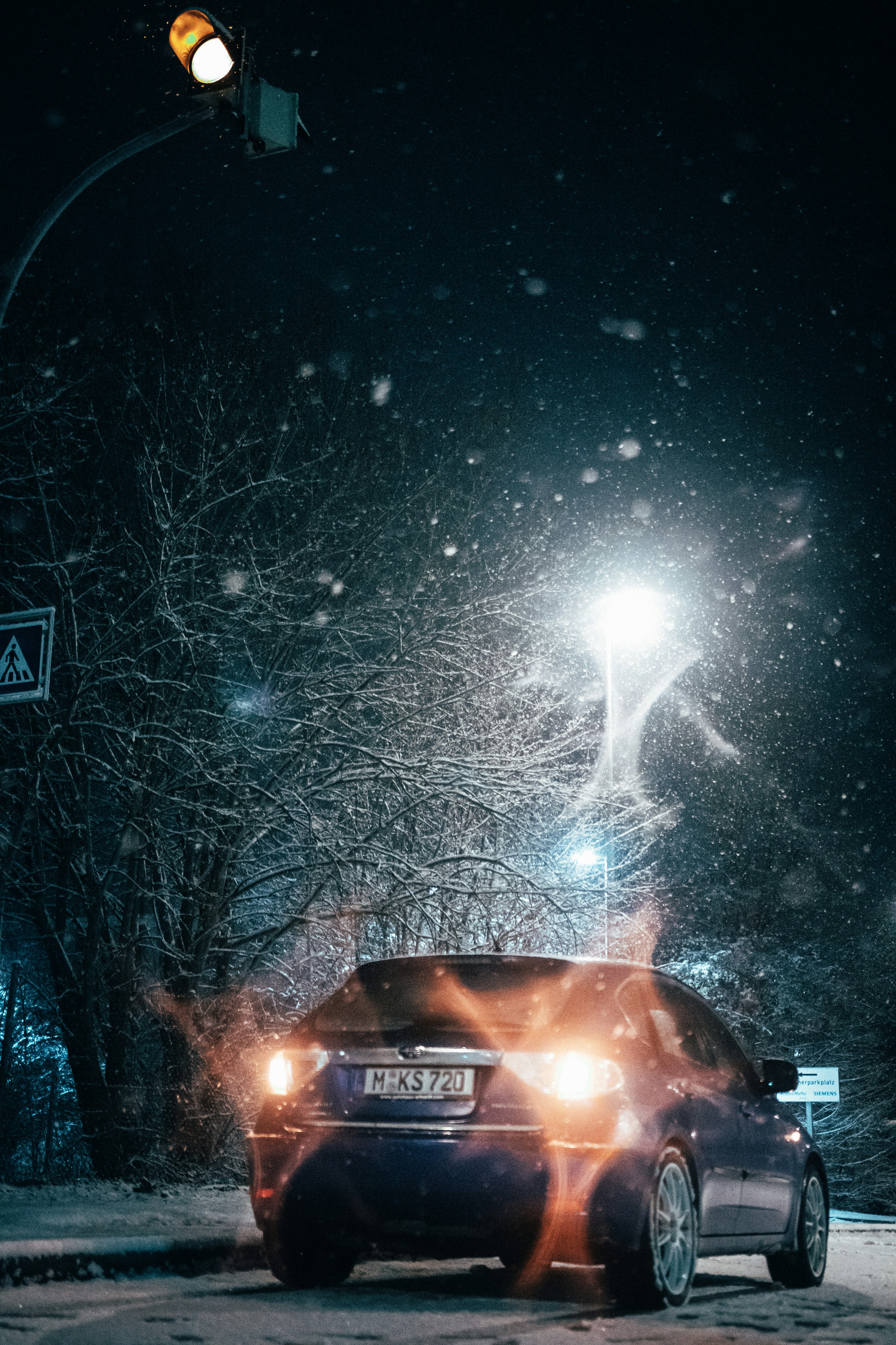 Silent Whispers of a Winter Night