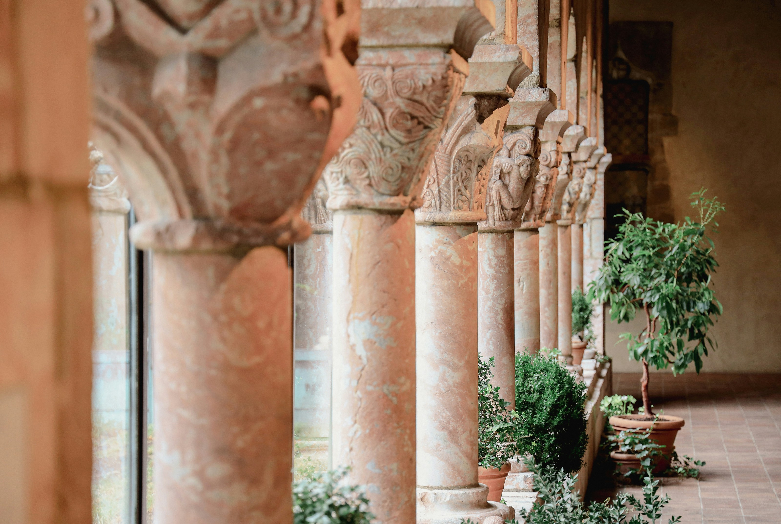 A row of pillars with plants growing between them photo – Free ...