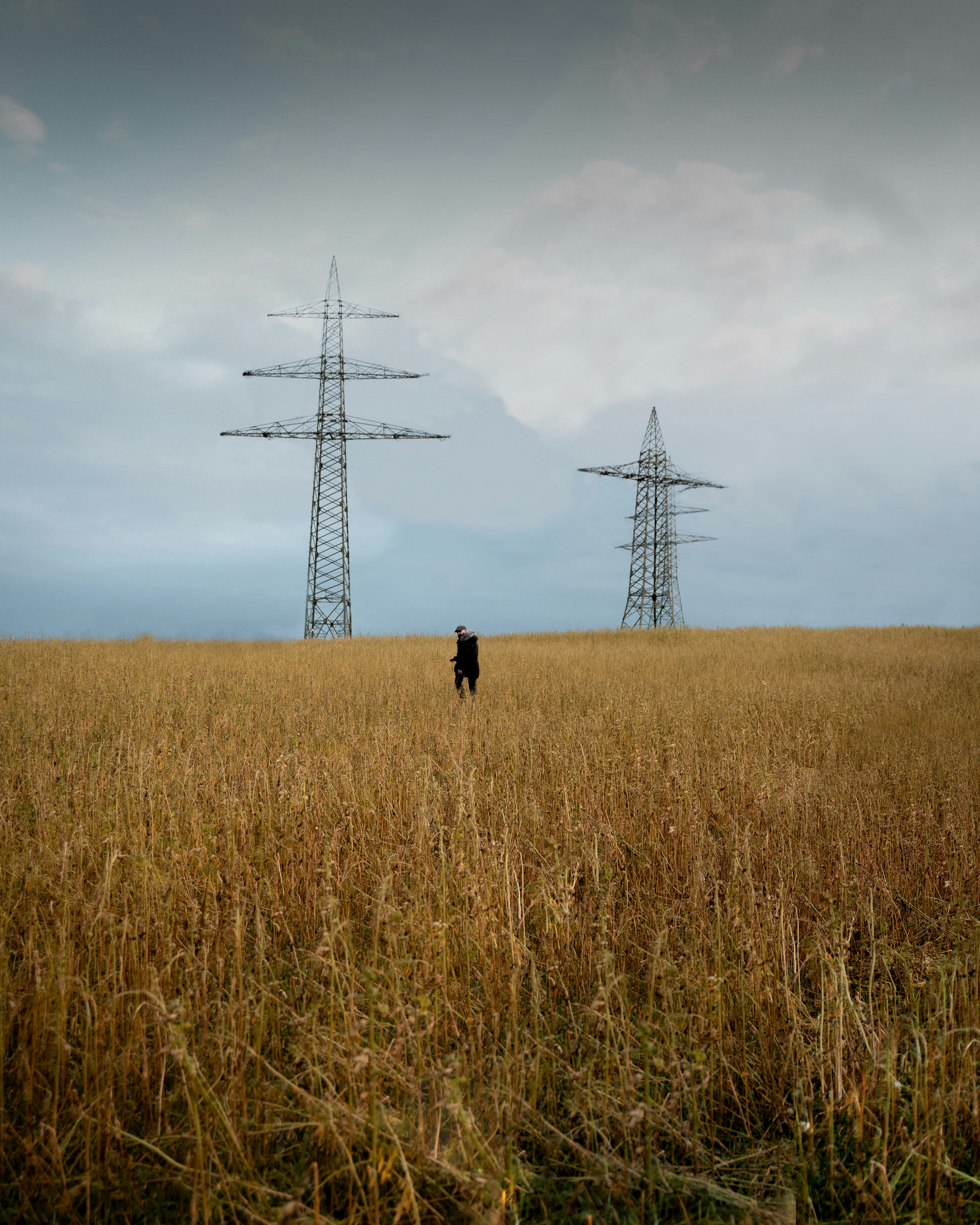  lone figure in a golden field under power lines