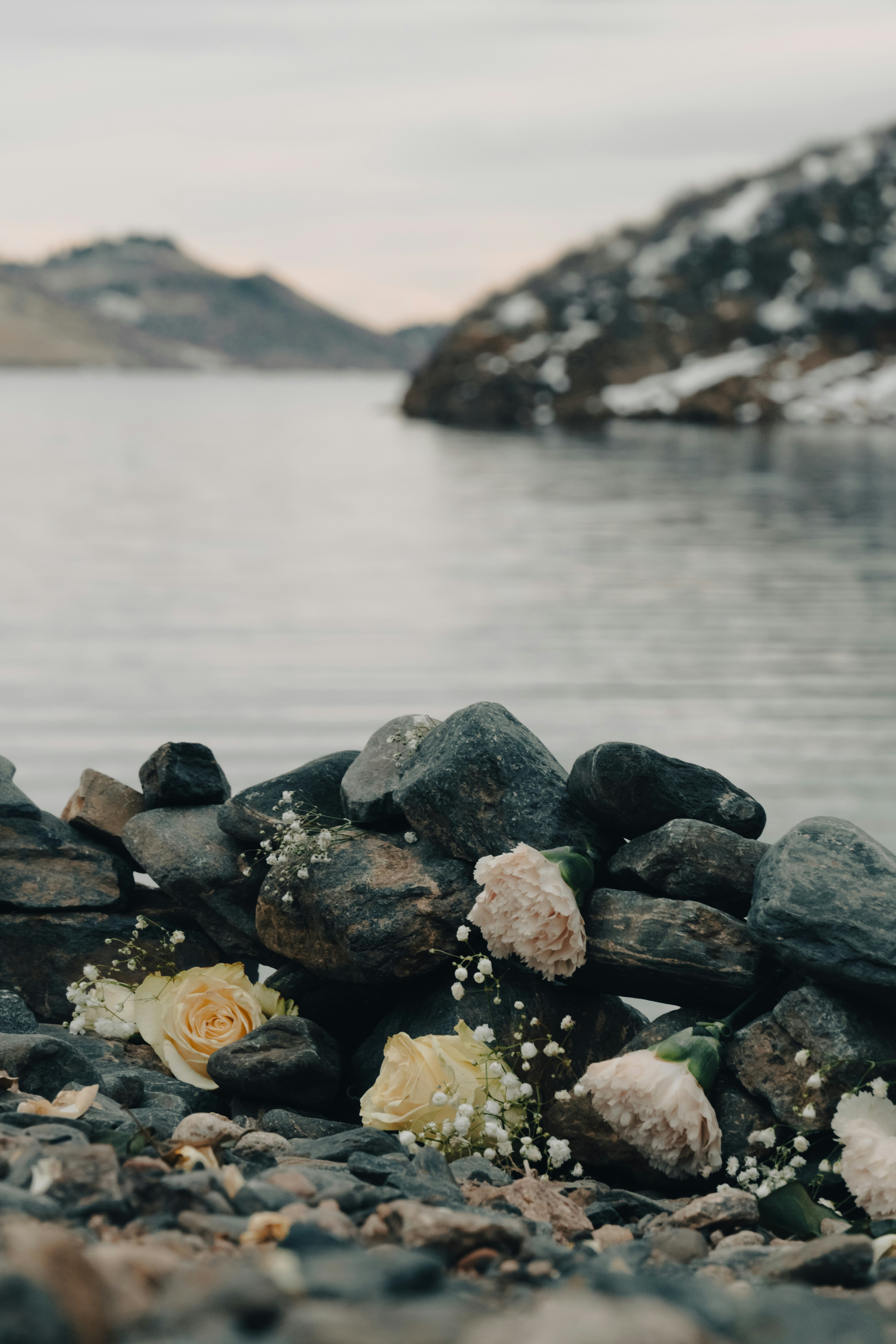 Delicate flowers nestled among smooth stones by a tranquil water's edge, reflecting a serene landscape. The composition evokes a sense of peace and connection with nature.