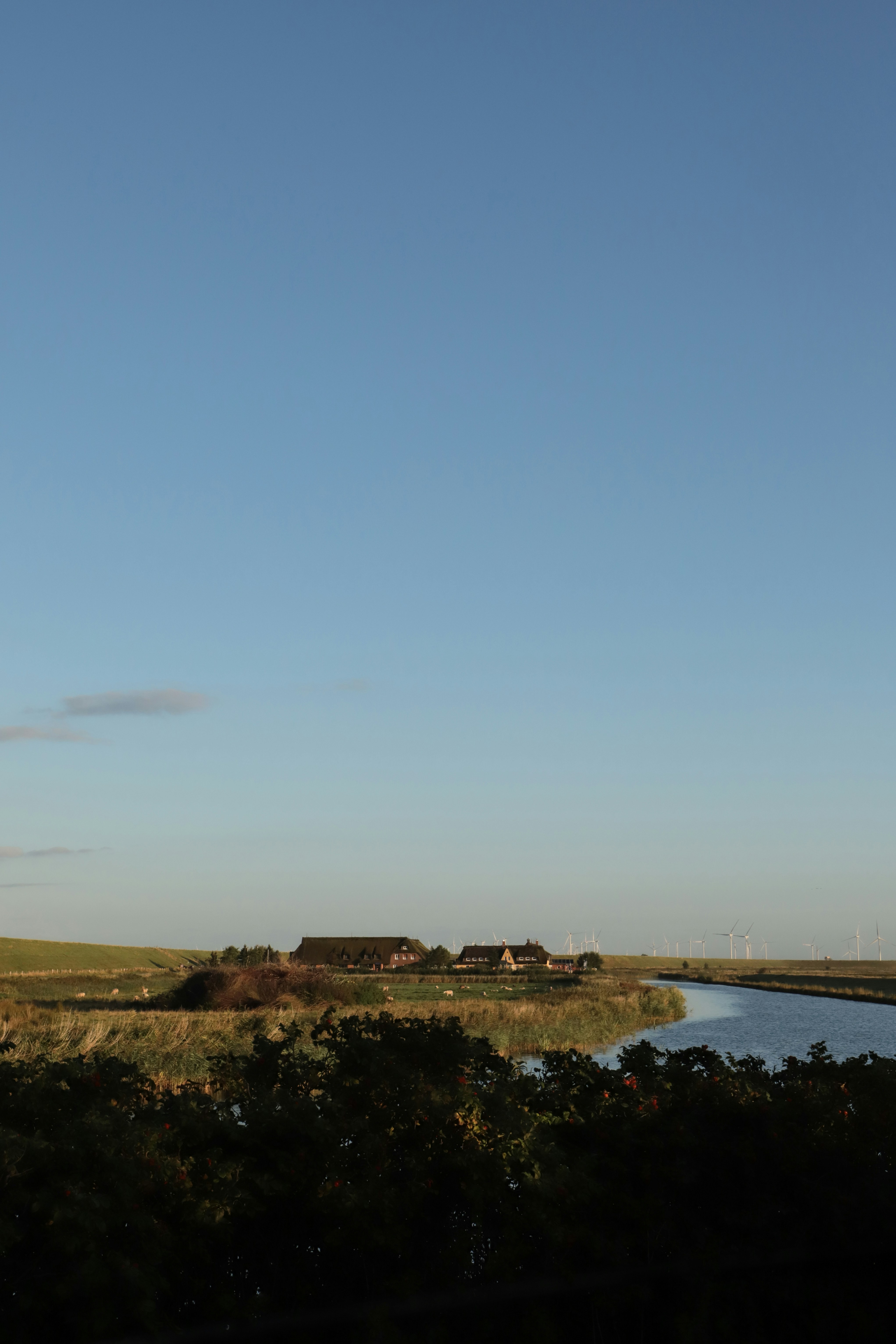 A tranquil riverside landscape featuring a distant cluster of houses framed by lush greenery and a clear blue sky. Wind turbines dot the horizon, hinting at sustainable energy sources.
