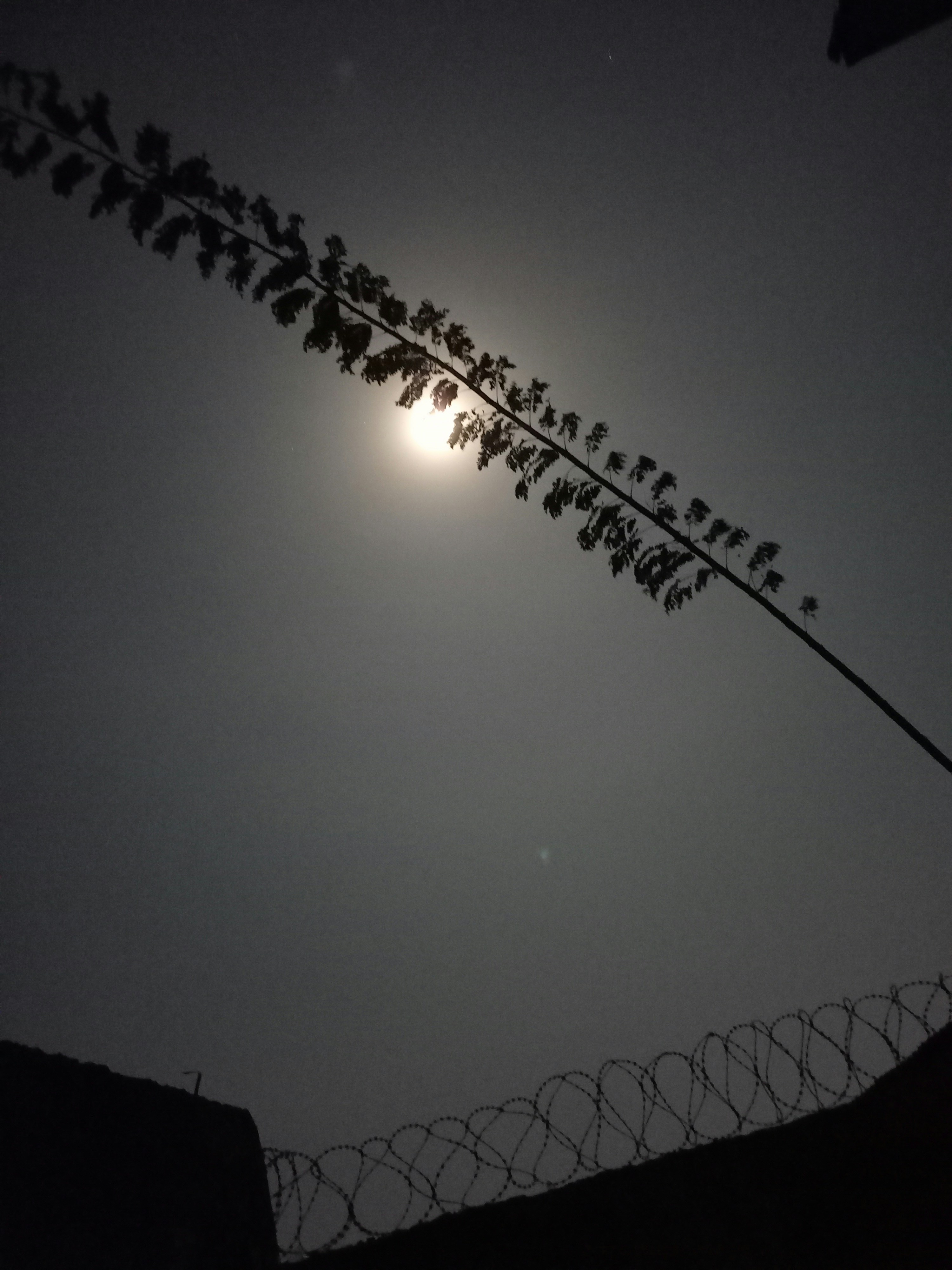 Photo by Flint Sky with Samsung Galaxy A22