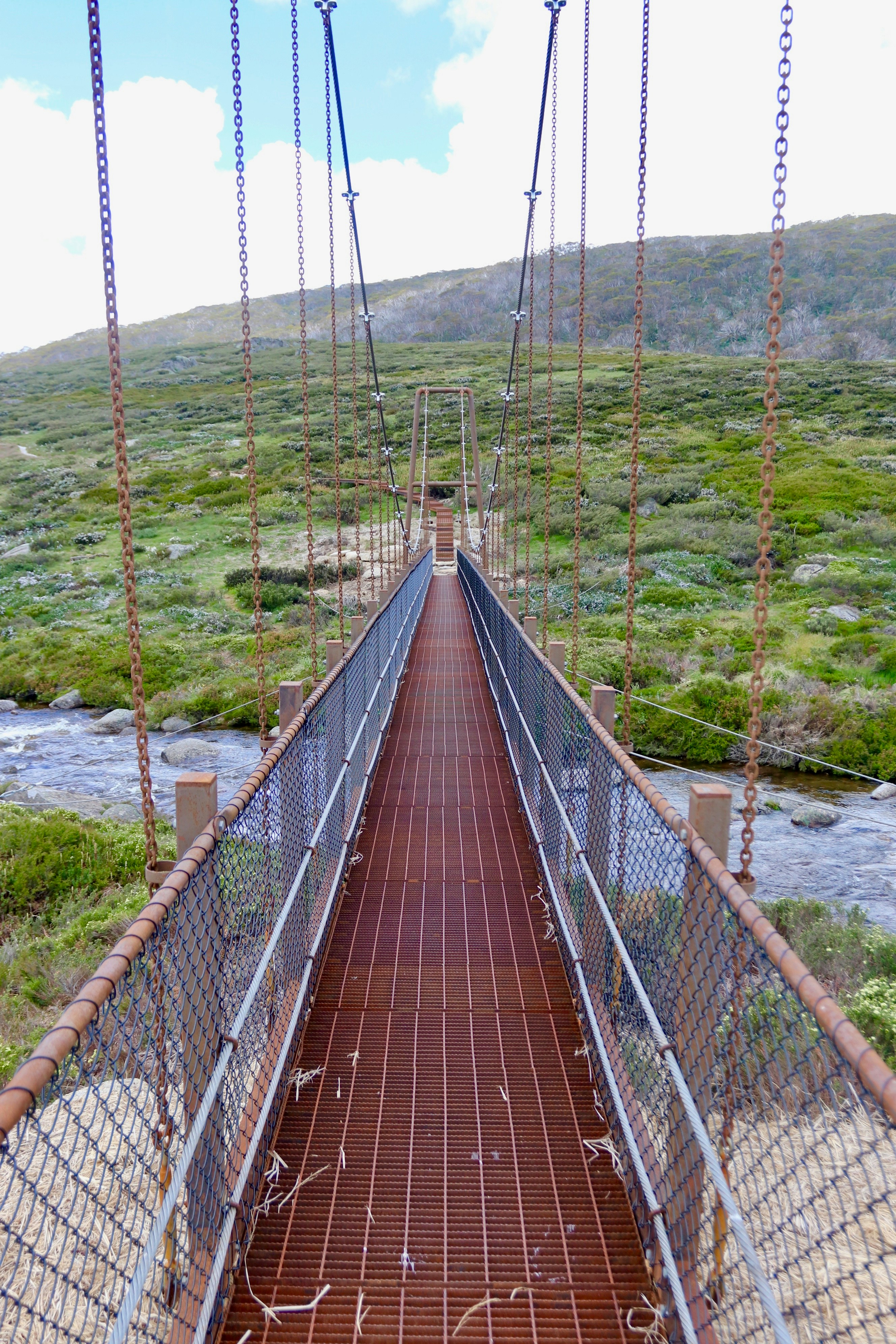 Bridge of Veiled Paths: Rusted Steel Reaching Toward the Green Highlands