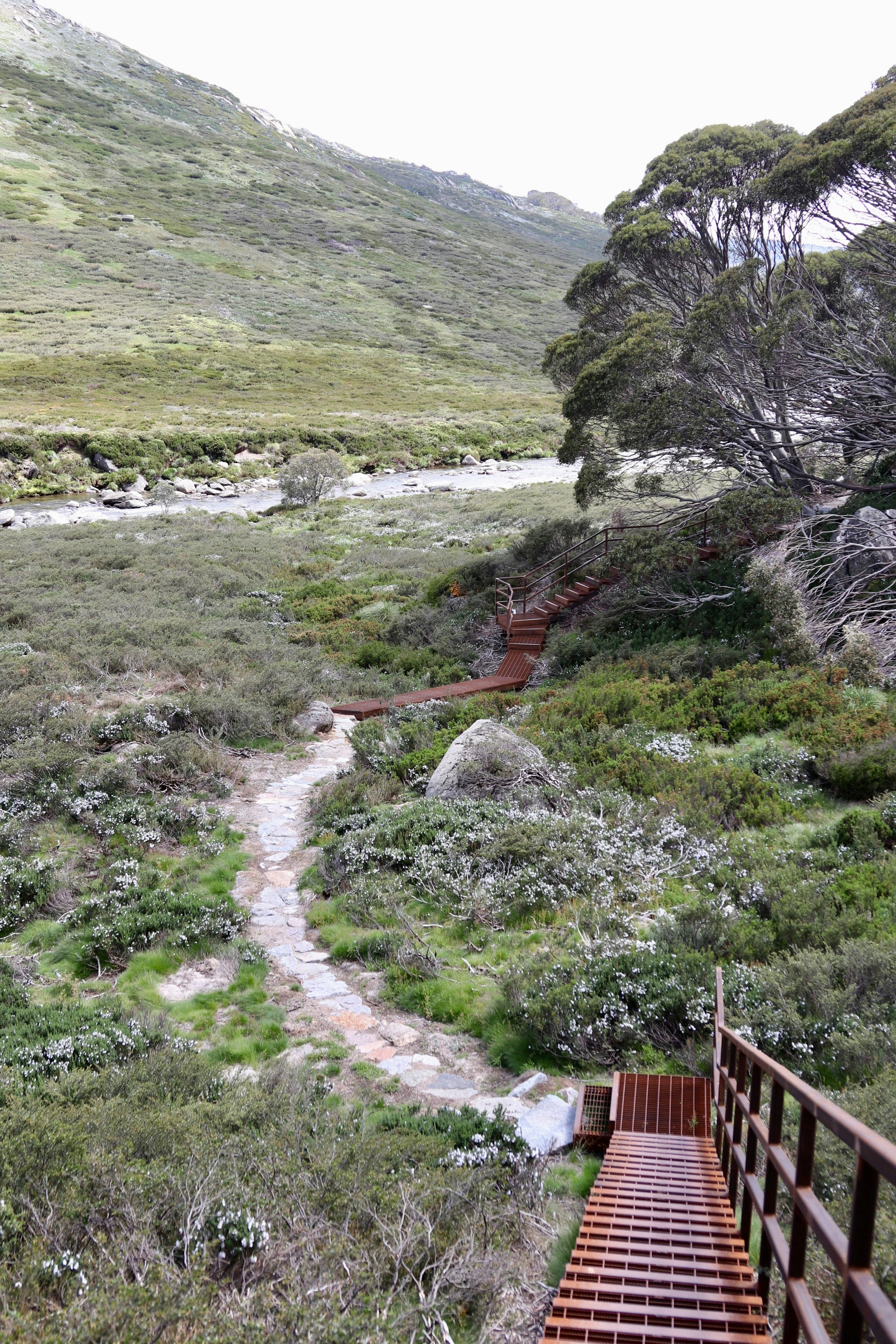 A wooden pathway meanders through lush greenery alongside a gently flowing river, framed by distant hills and a solitary tree.