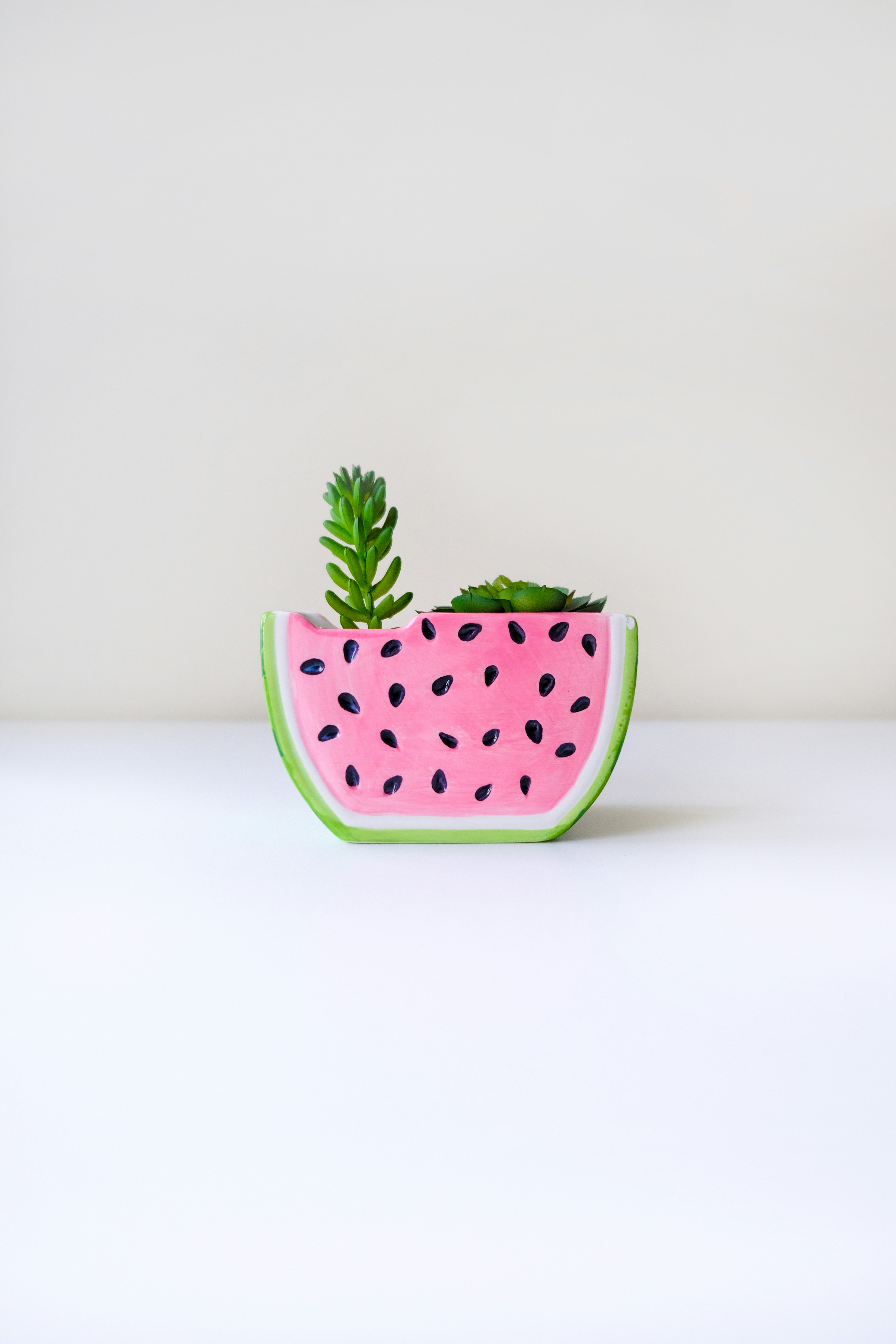Watermelon Slice Planter Cradling Tiny Succulents on a White Stage