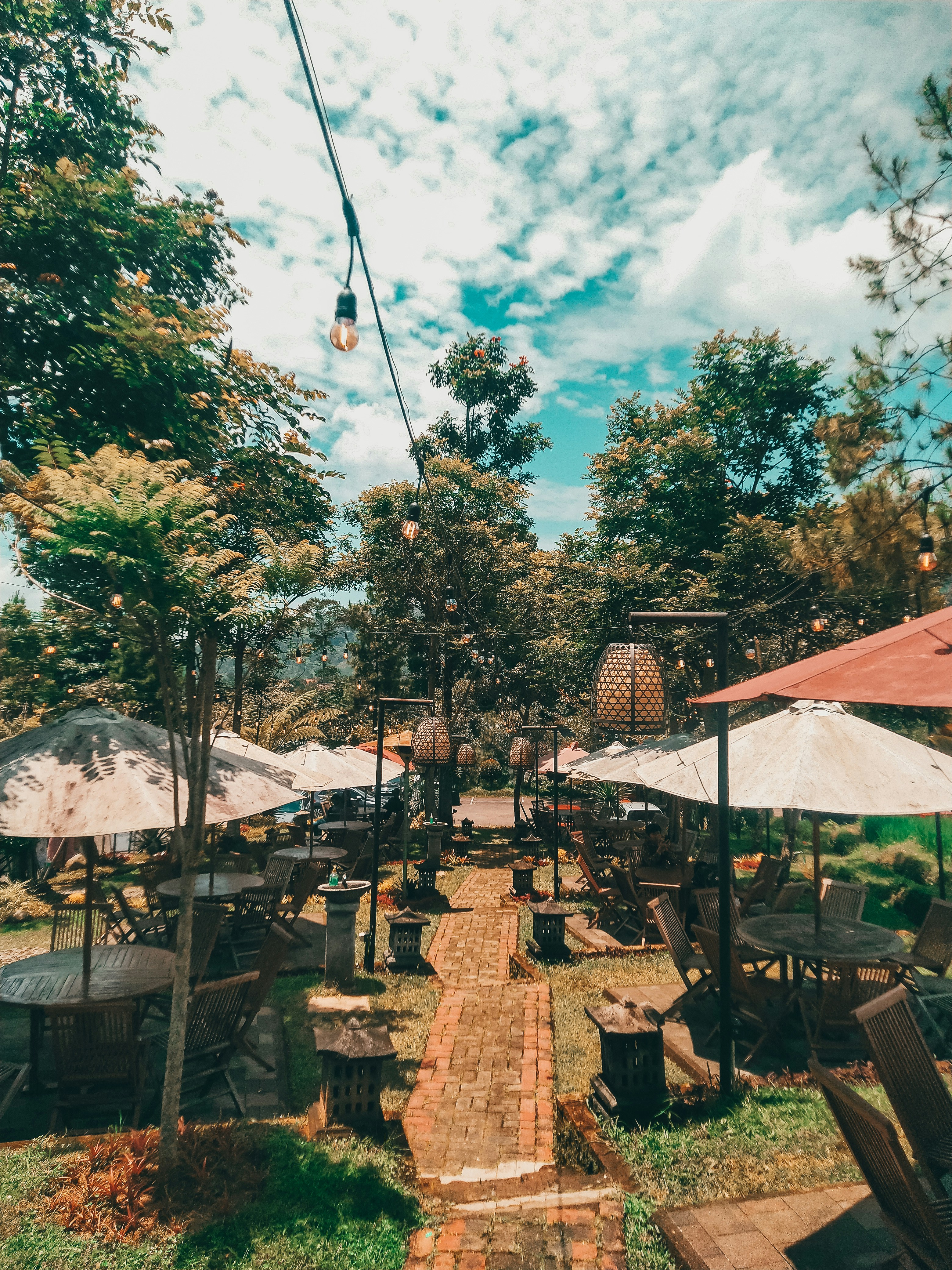 Brick-Path Café Under Lanterns: A Sunlit Garden Retreat