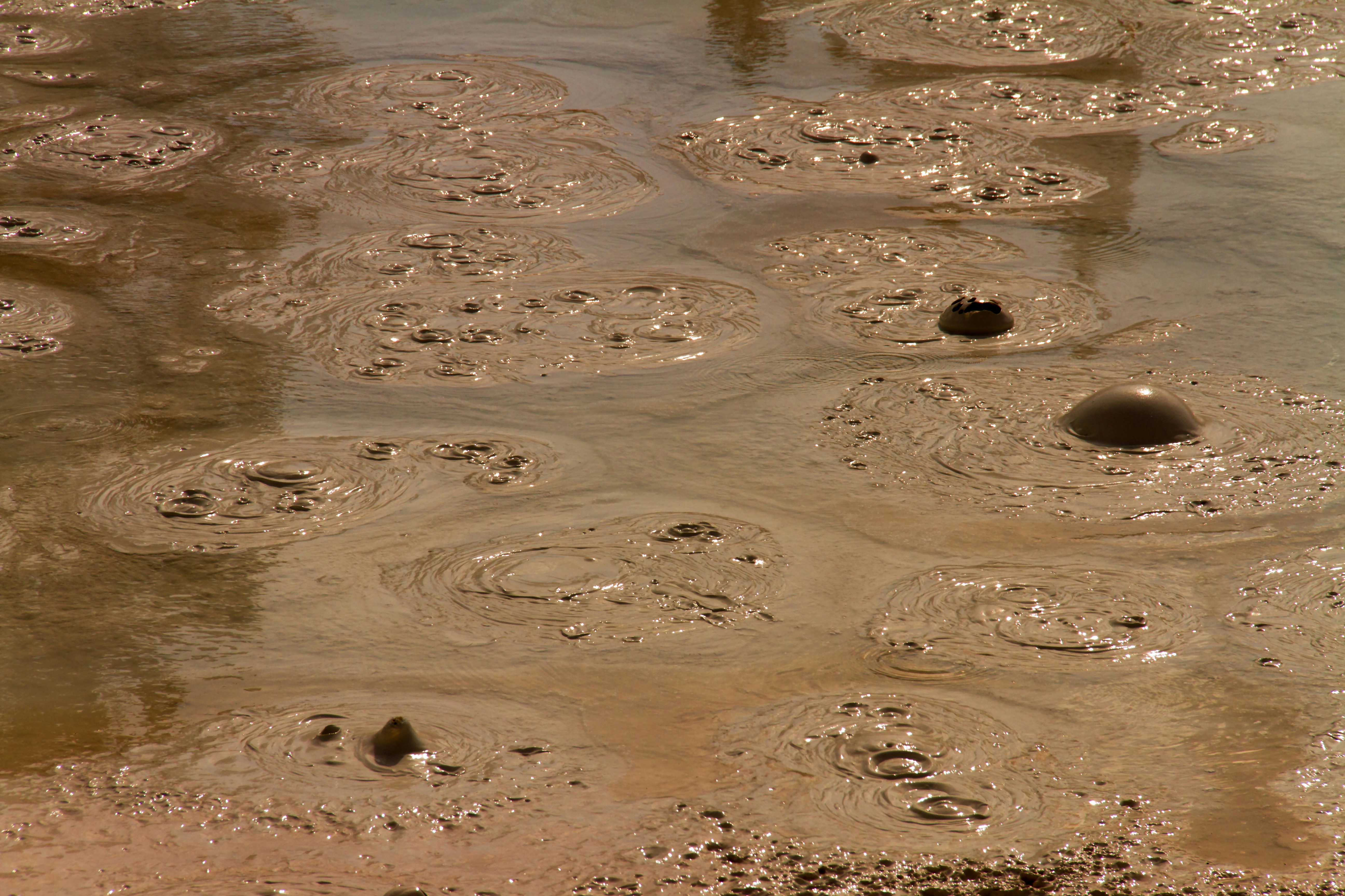 A puddle of water that has some rocks in it photo – Free Yellowstone ...