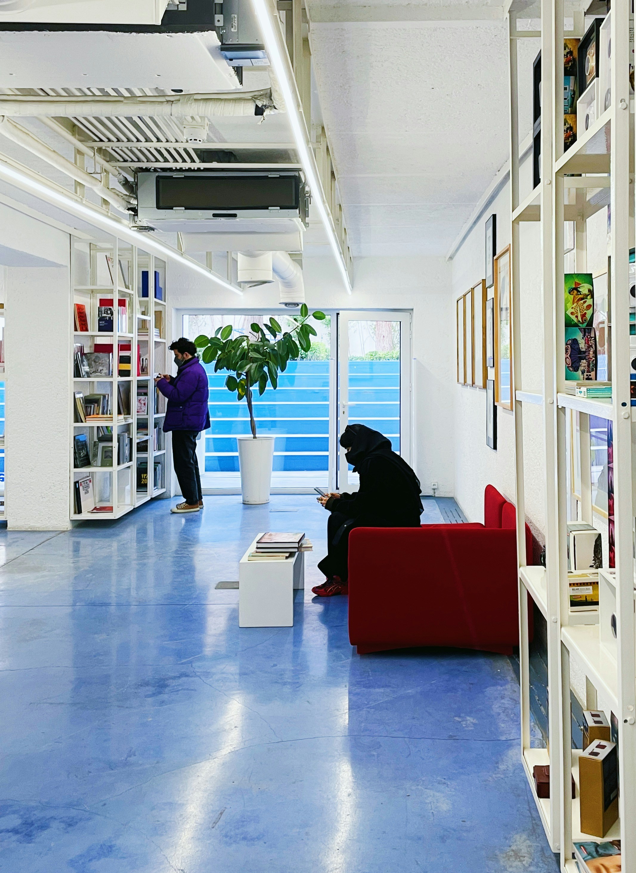 Quiet Reading in a Modern Library: A Violet-Jacketed Visitor and a Darkly Dressed Reader
