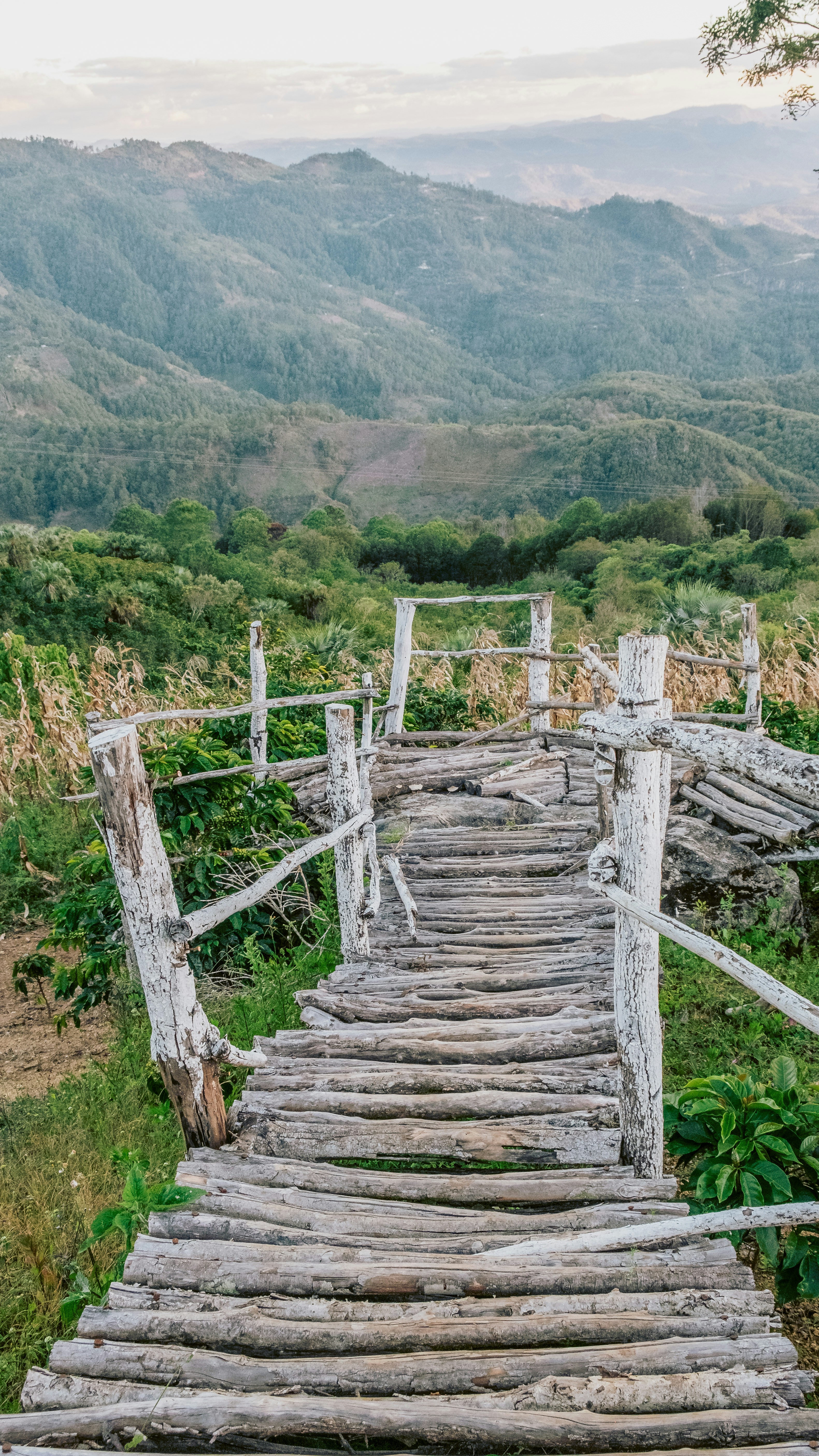 A set of wooden steps leading to a lush green valley photo – Free Grey ...