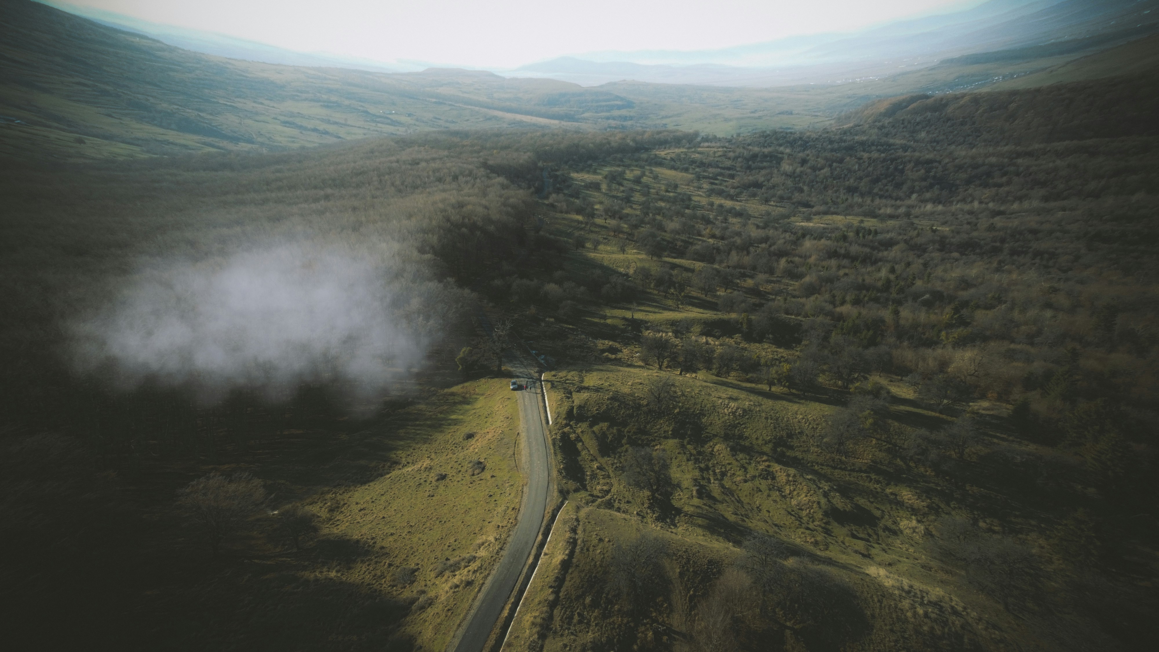 Aerial view of a winding road cutting through a dense forest, with a hint of mist adding a touch of mystery to the landscape.