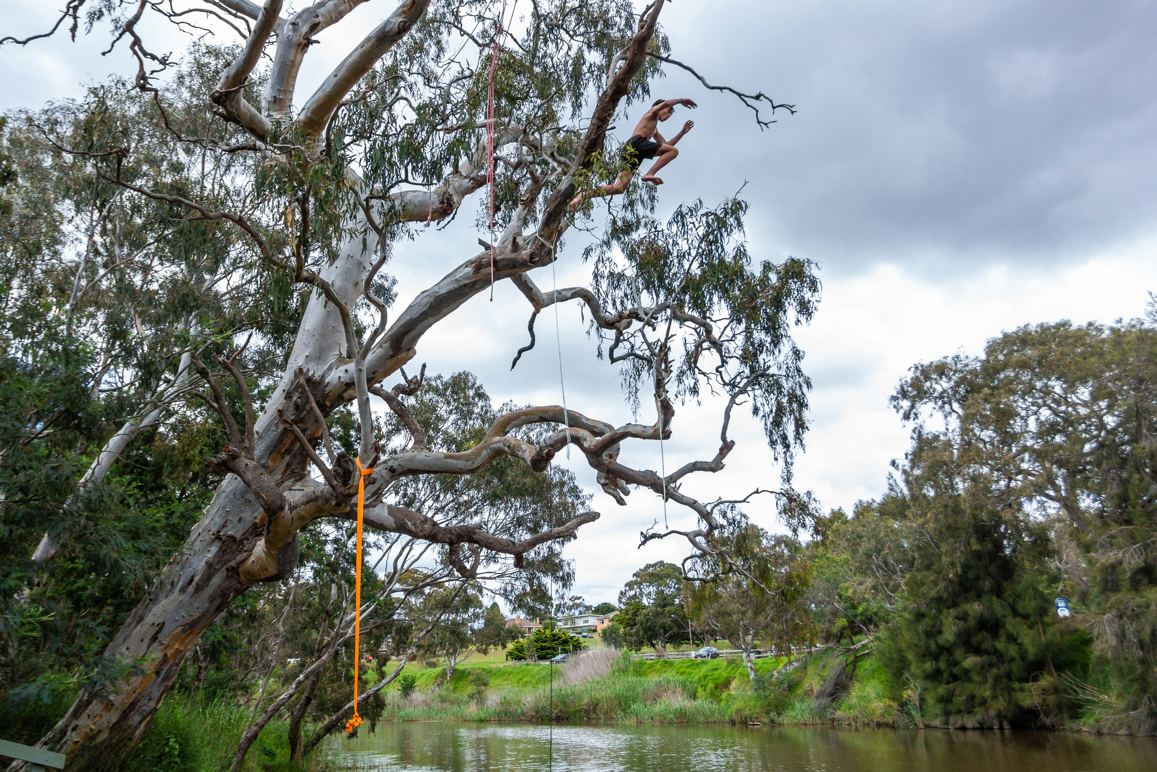 A group of young 14 and 15 year old teenagers hanging out in summer Victoria Australia swimming and making a rope swing in a tree