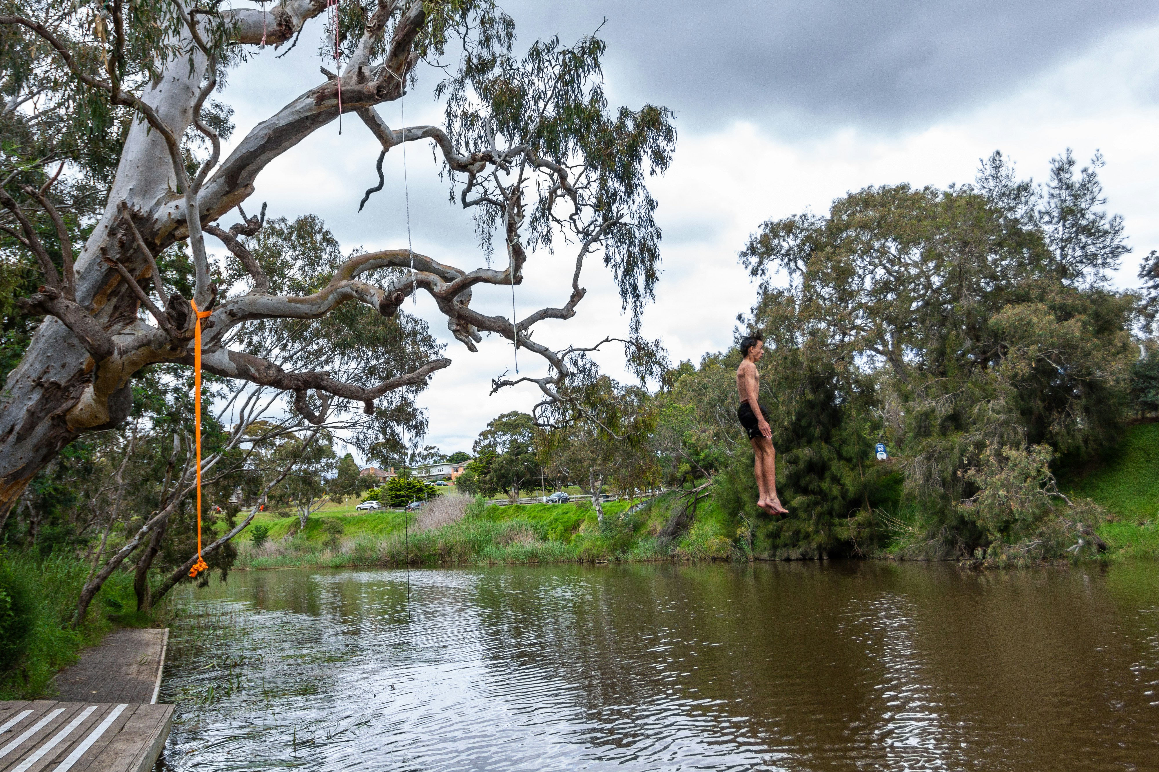 Foto Una persona colgando de un árbol sobre un cuerpo de agua – Imagen ...