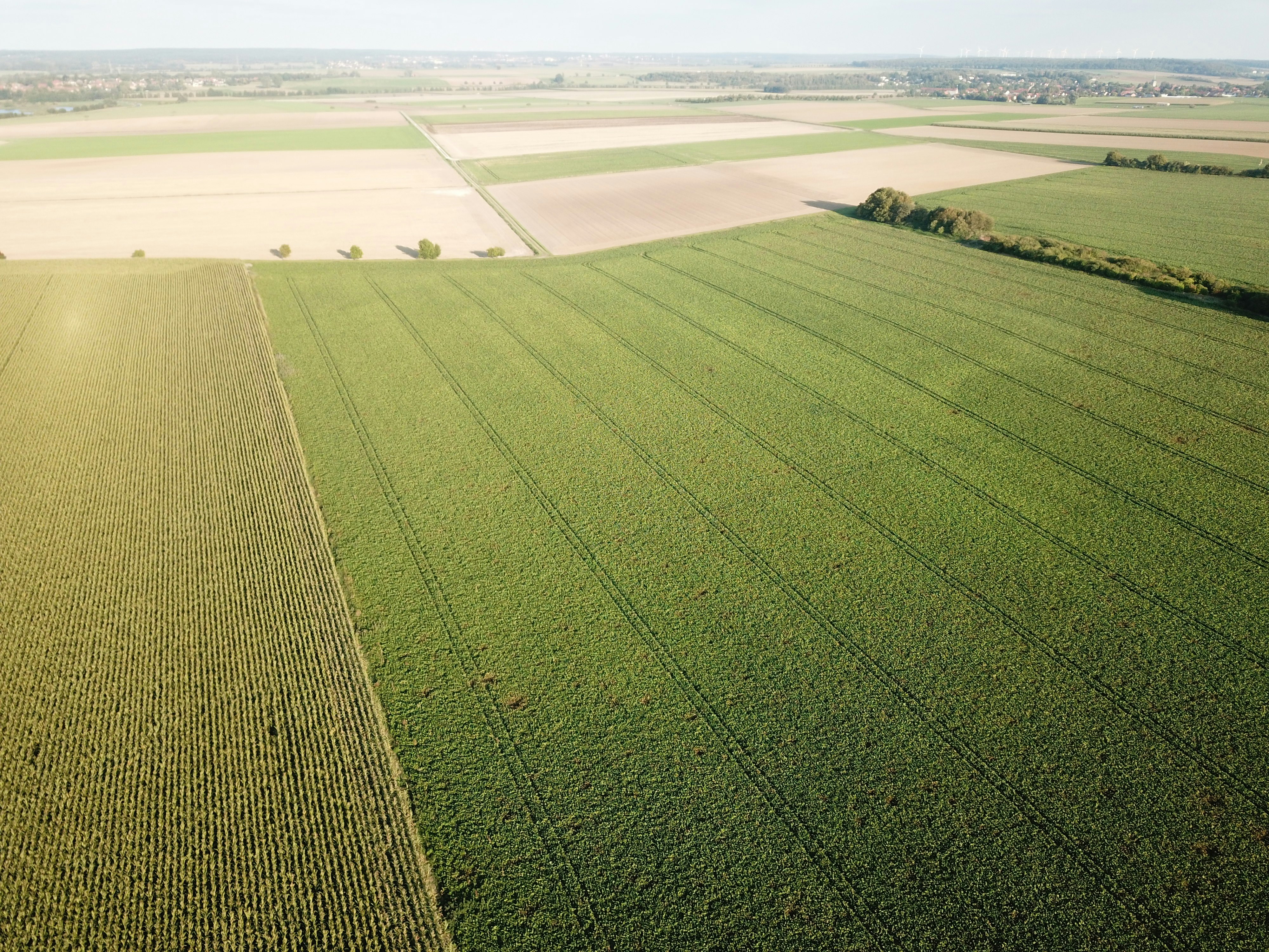 An aerial view of a large field of crops photo – Free Germany Image on ...