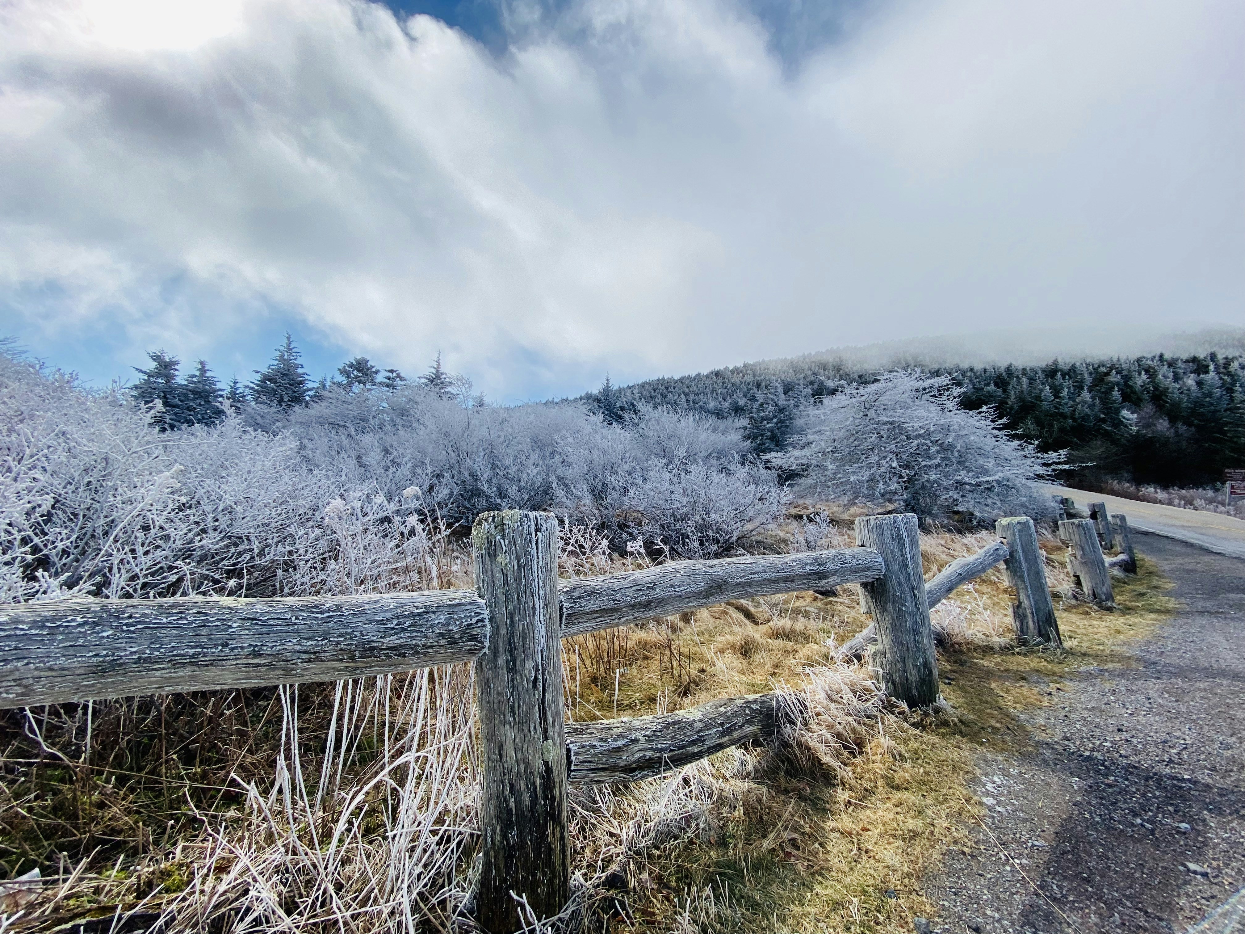 A wooden fence on the side of a road photo – Free Nature Image on Unsplash