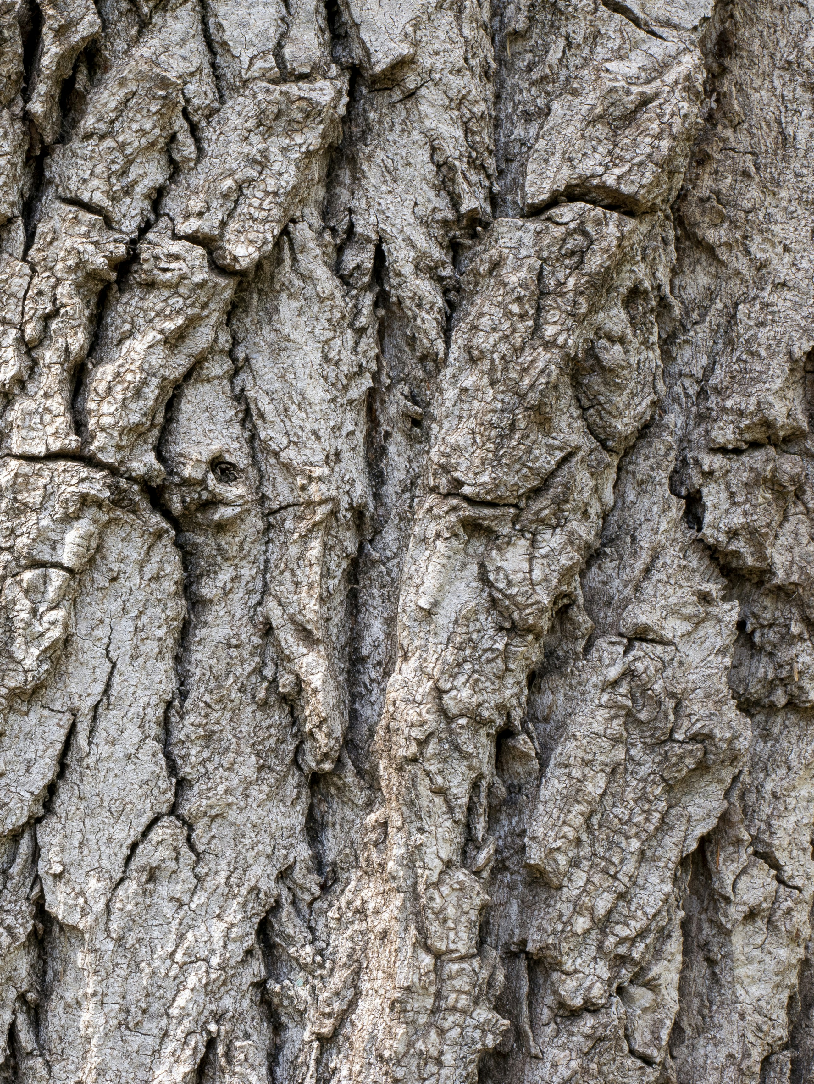 Textures (vertical) | 37 best free vertical, texture, color and ...