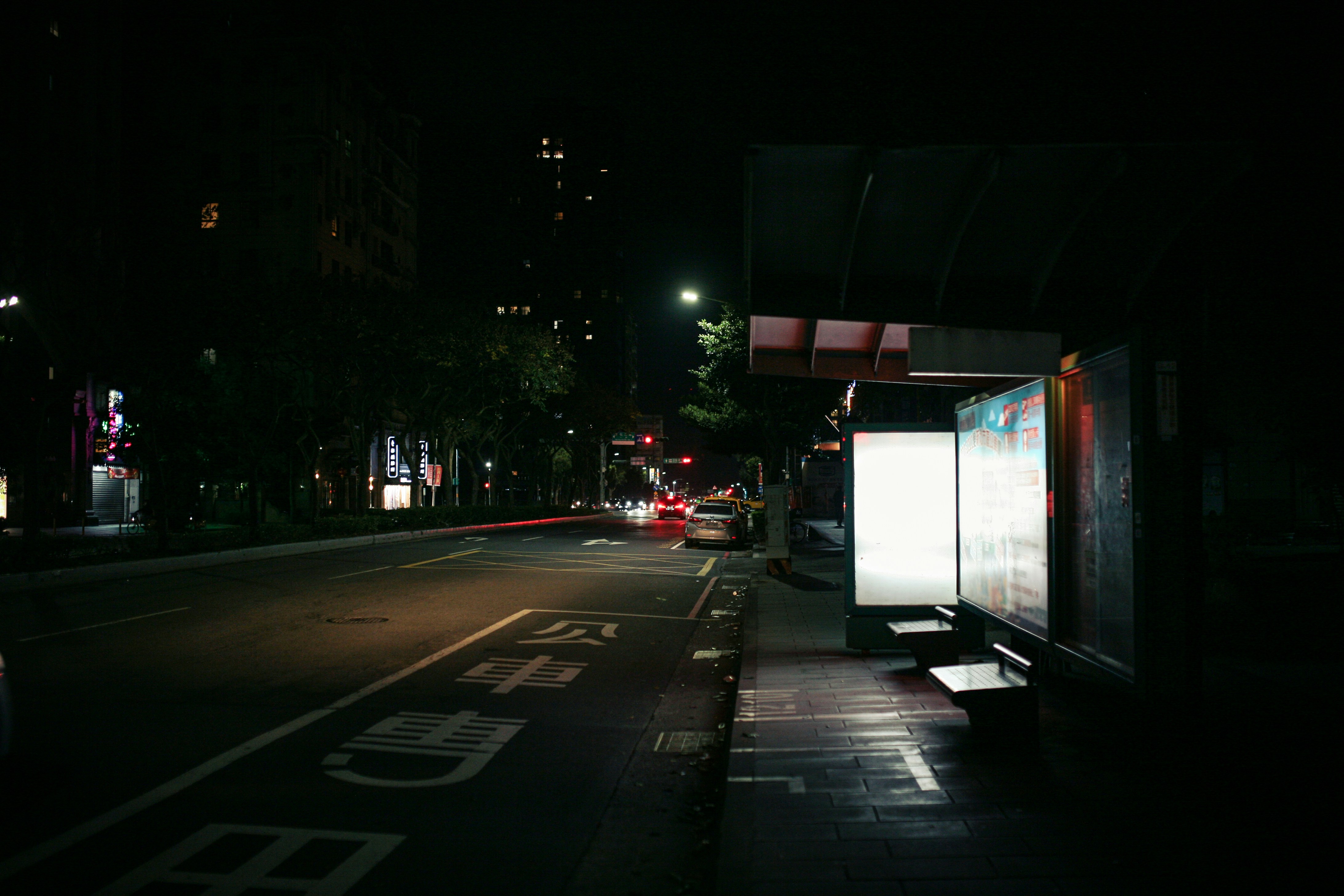 Midnight Bus Stop Illuminated: A Quiet Corner of the City