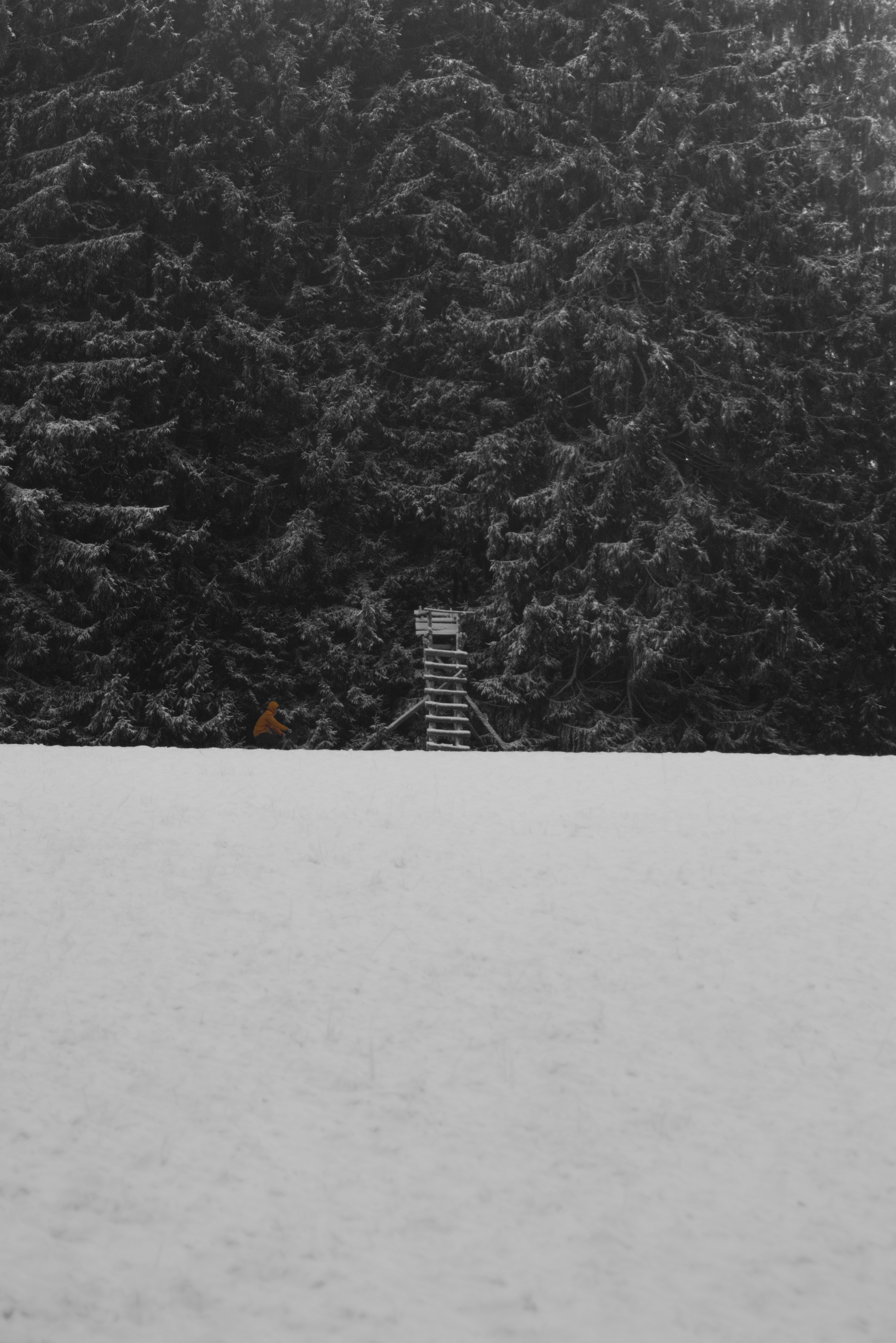 Solitary Lifeline: A Snowbound Lifeguard Tower in Silence