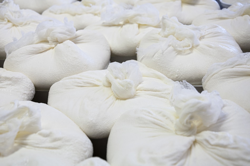 Comprehensive Guide to Fresh Cheeses | Cheese Soul