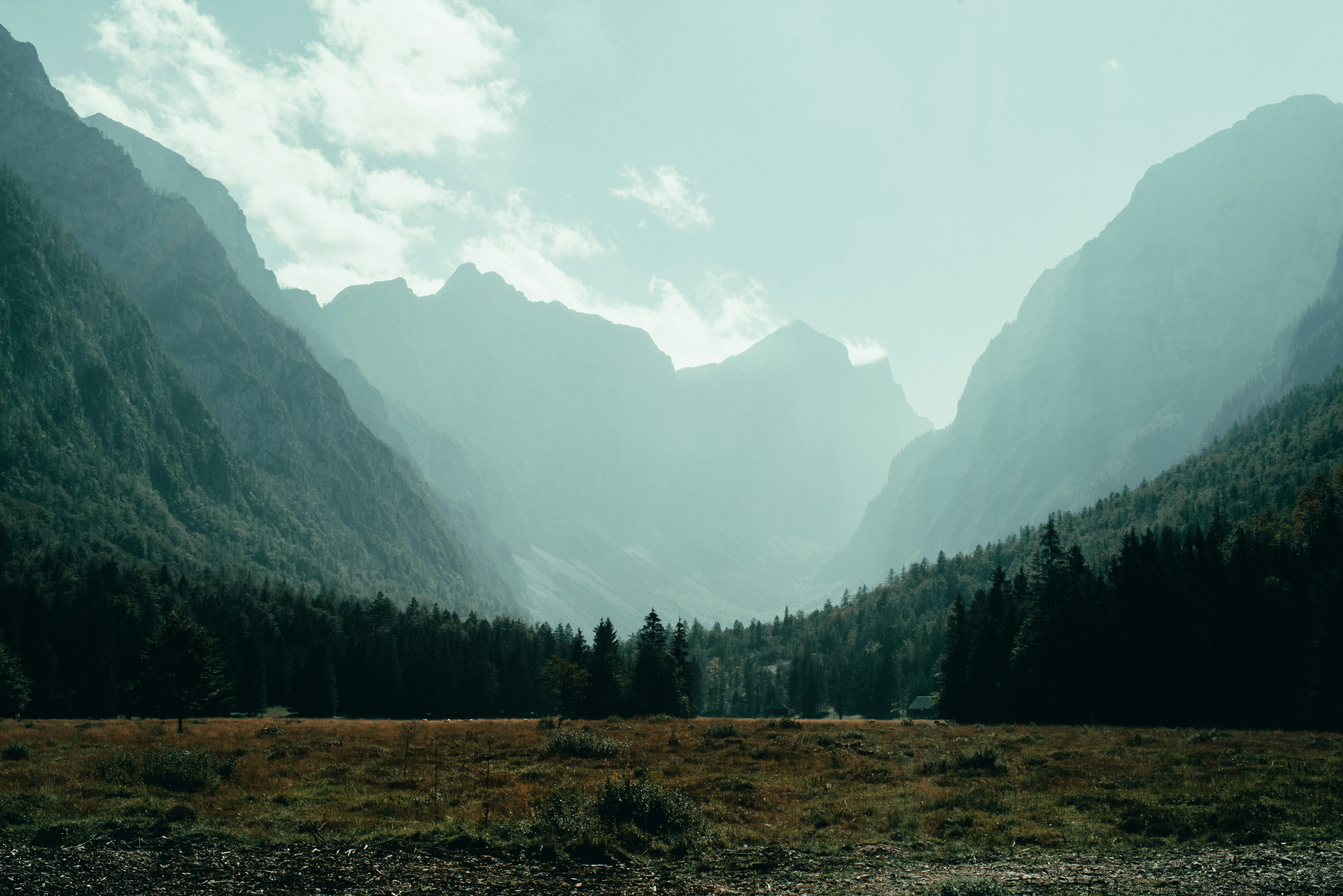 Radovna Valley (2025) – Best of TikTok, Instagram & Reddit Travel Guide