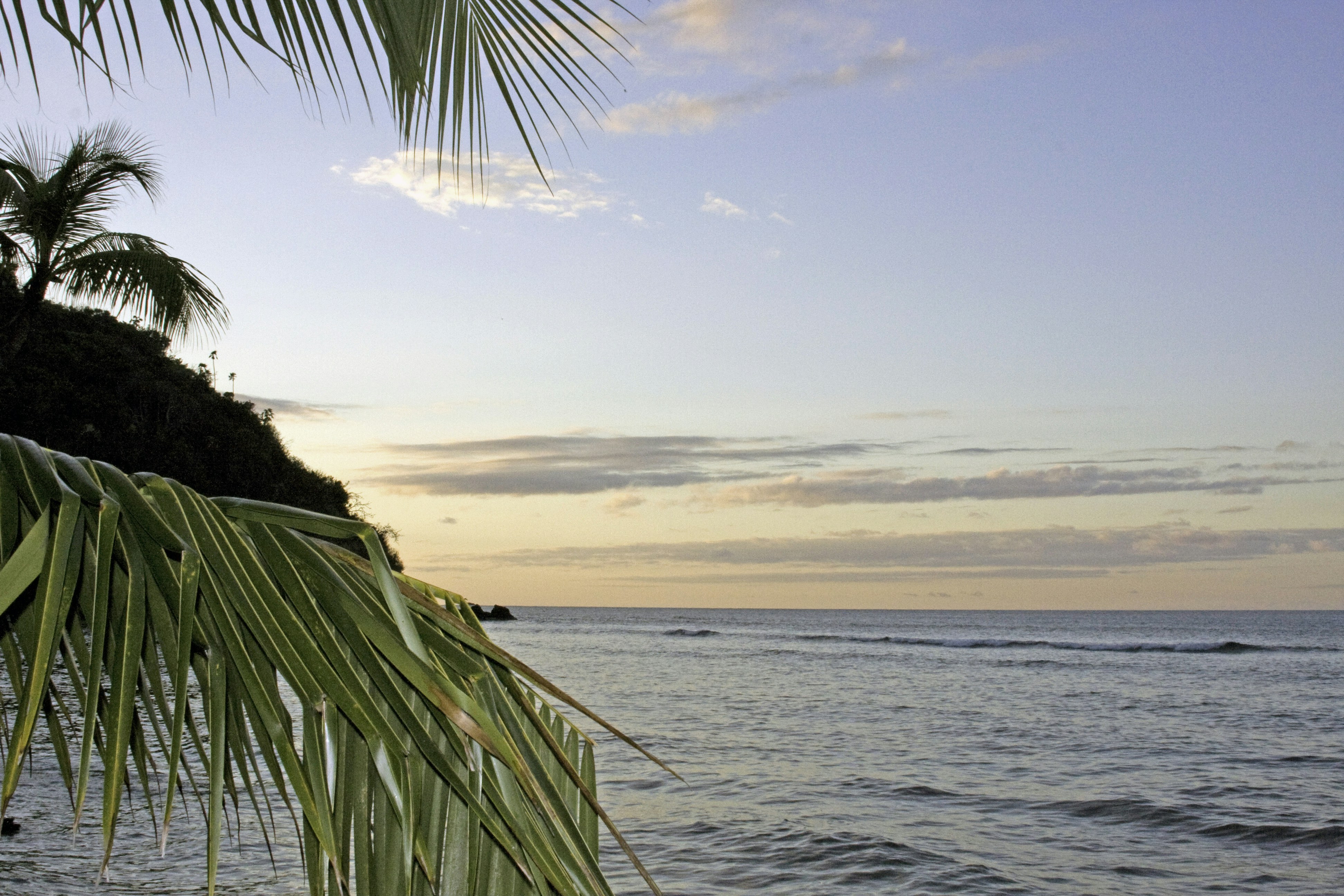 Sunset over ocean and palm frond.Karl Callwood