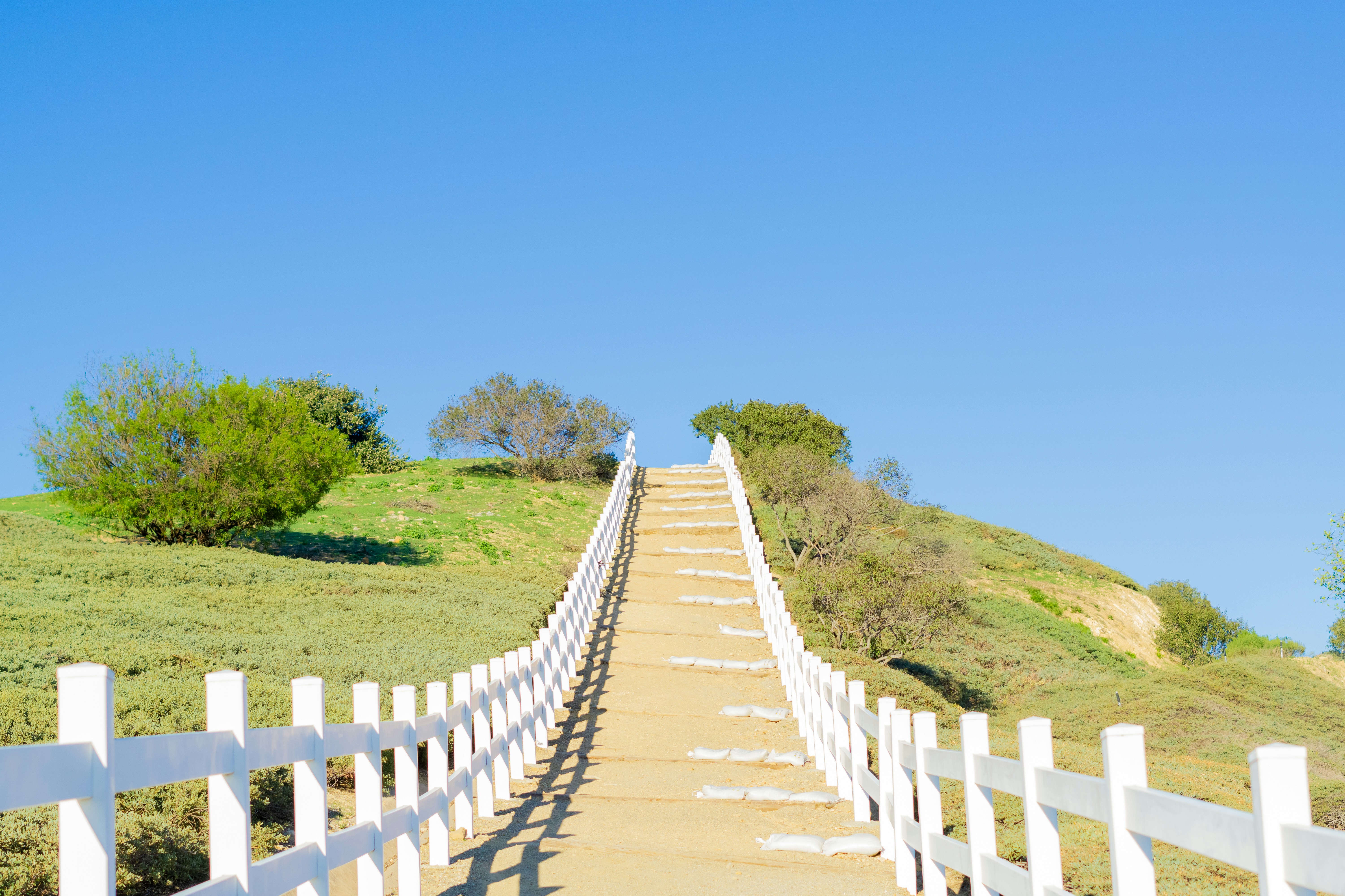 A winding pathway leads up a gentle hill, flanked by a white fence under a clear blue sky. The scene evokes a sense of tranquility and exploration.