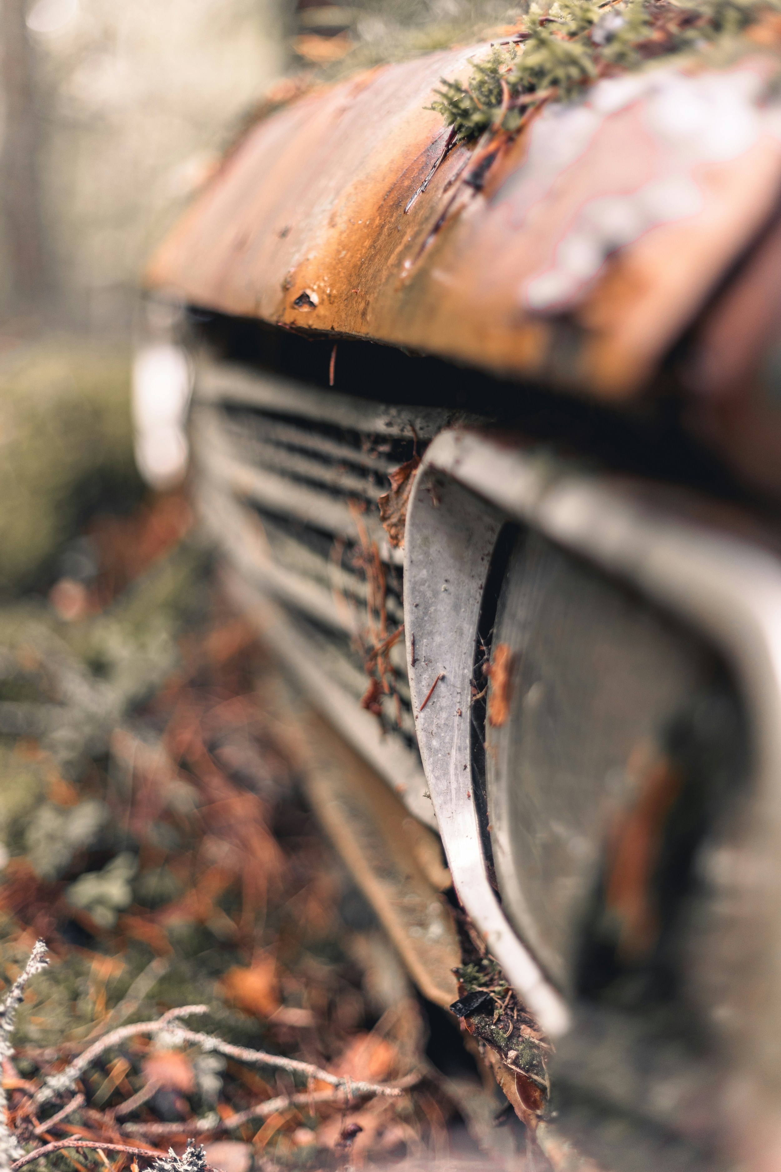 Close-up of an abandoned car's front, adorned with rust and overgrown foliage, illustrating the passage of time and nature's reclamation.