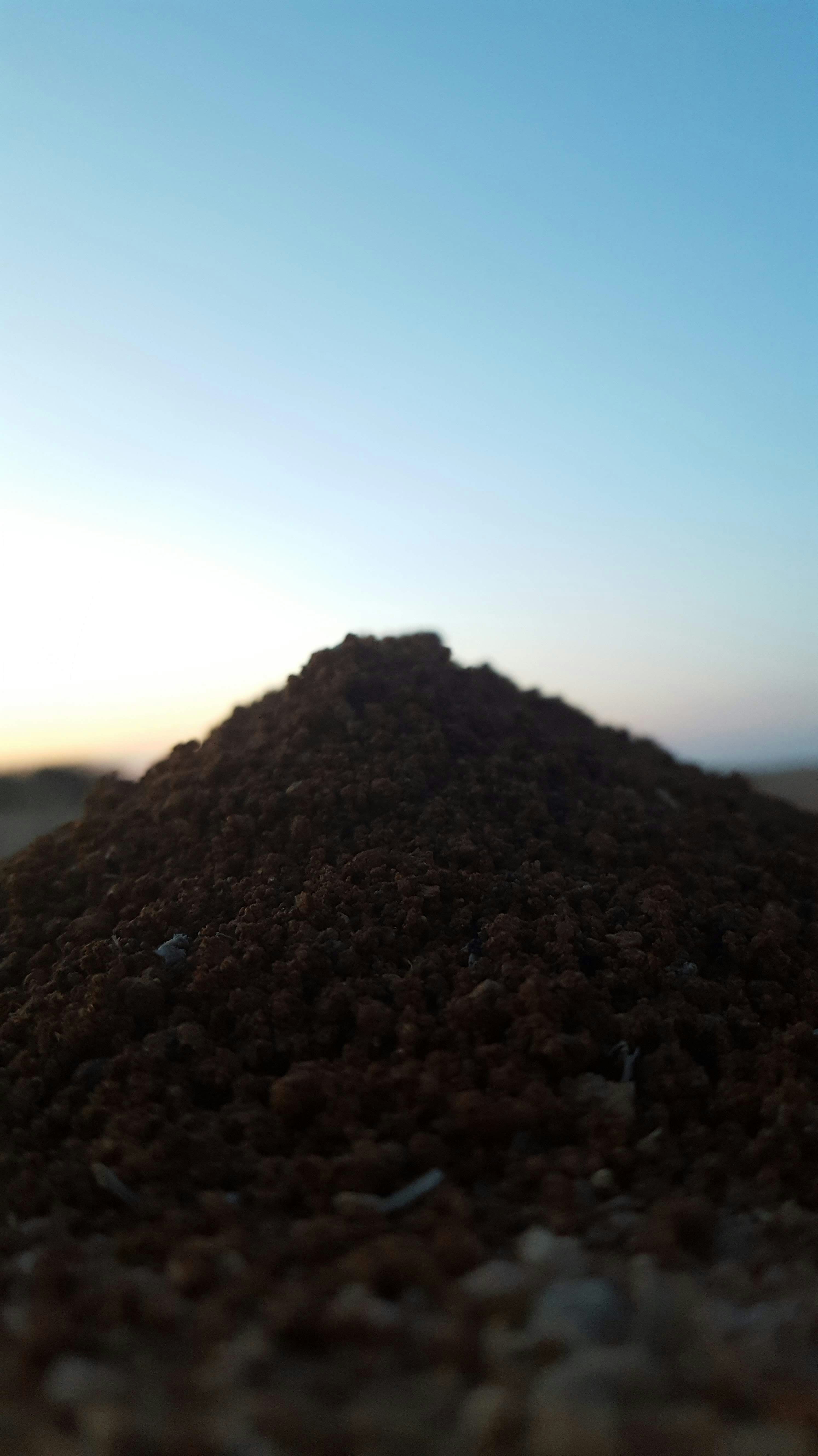 Dirt Ridge at Dusk: A Textured Close-Up toward the Horizon