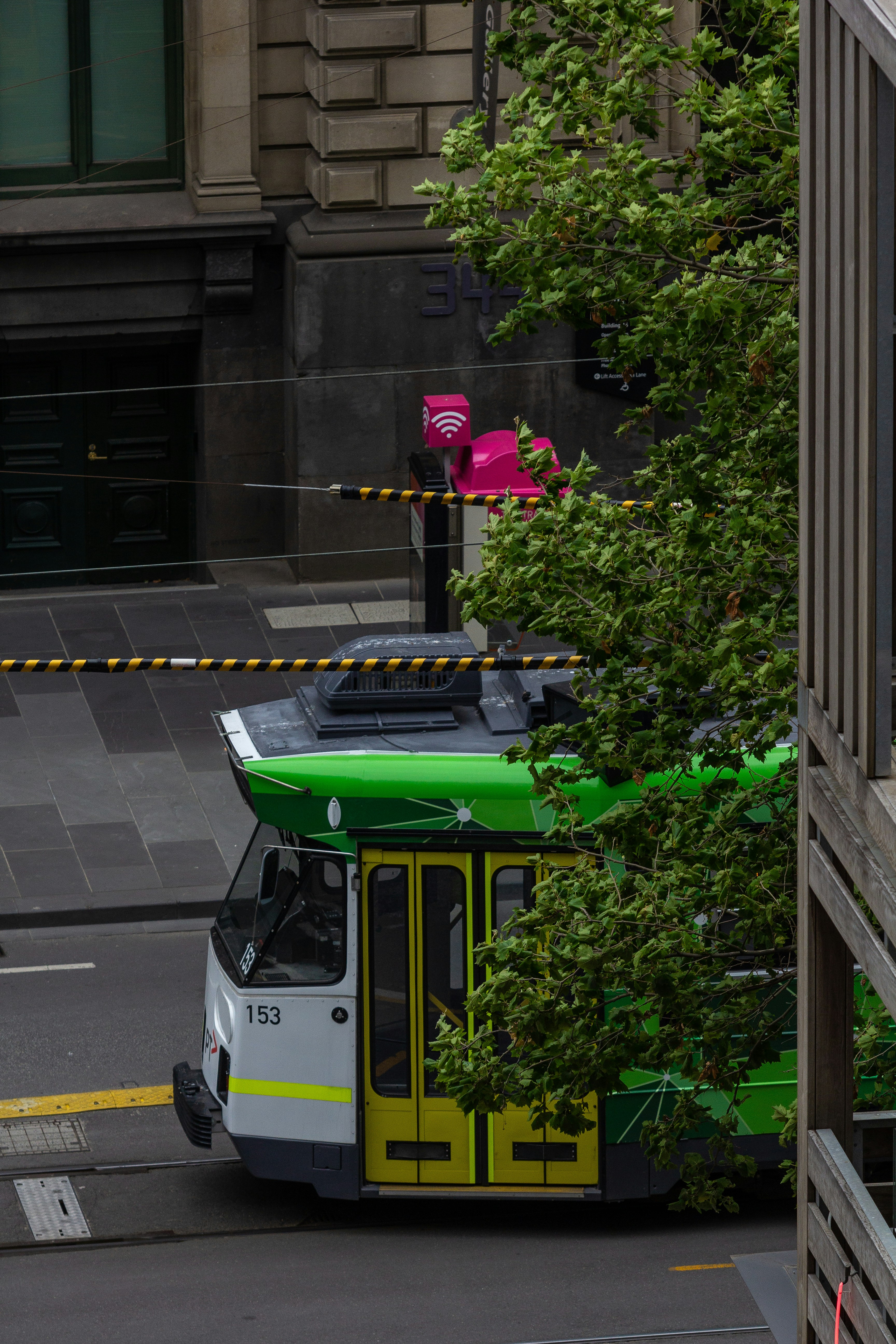 A green and yellow bus driving down a street photo – Free Victoria ...