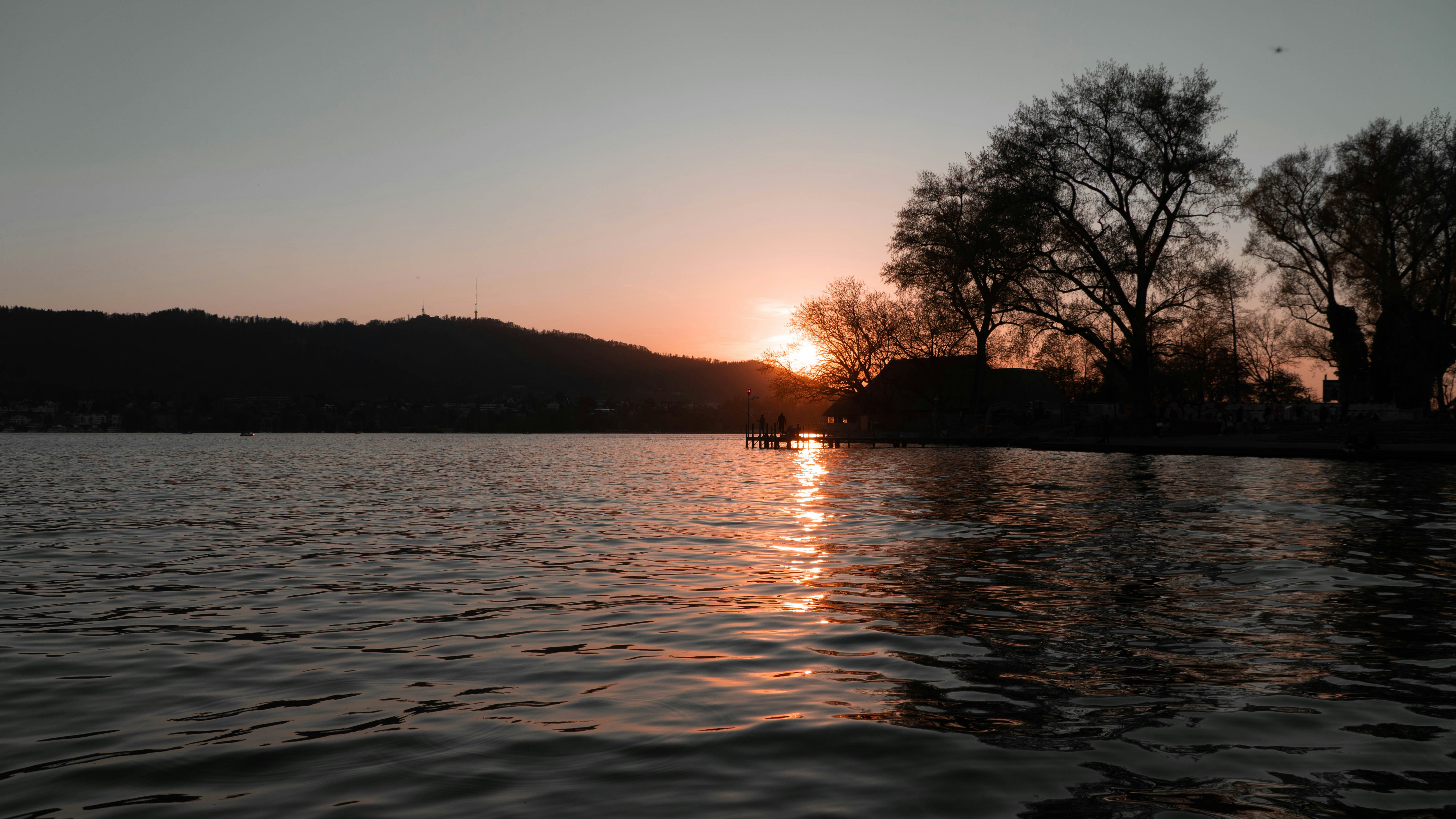 The sun is setting over a lake with trees photo – Free Zurich Image on ...