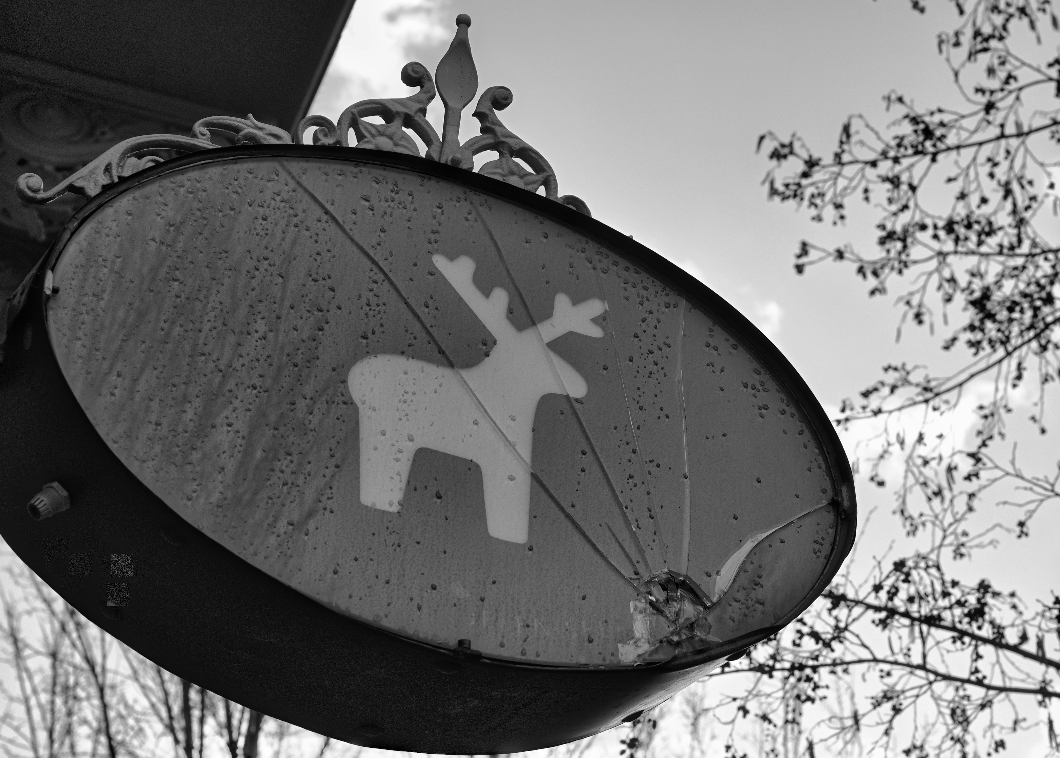 A black and white photo of a street sign photo – Free Žižkov Image on ...