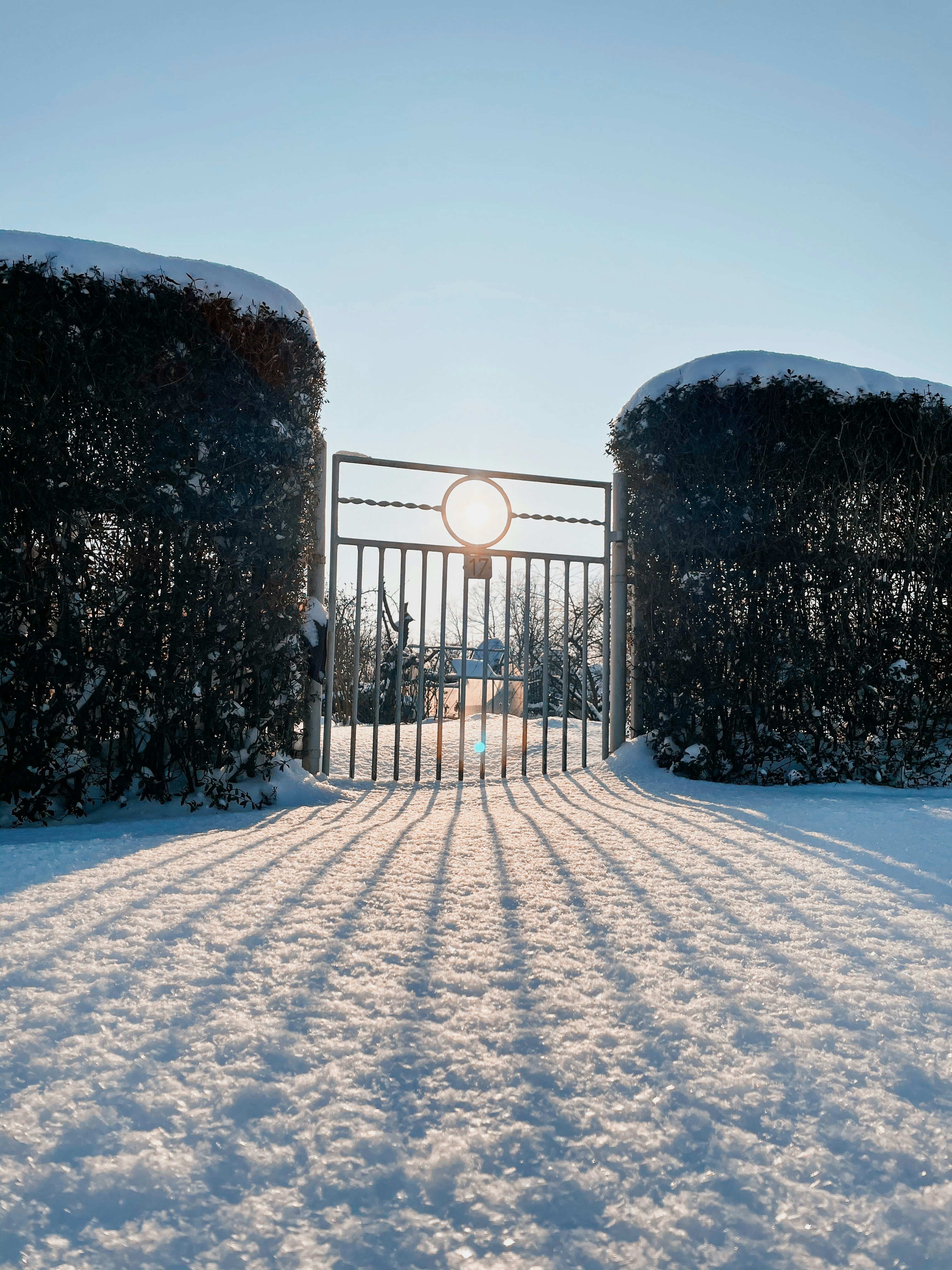 Sunrise Through Frosted Gates: A Quiet Winter Path Framed by Shadow and Light